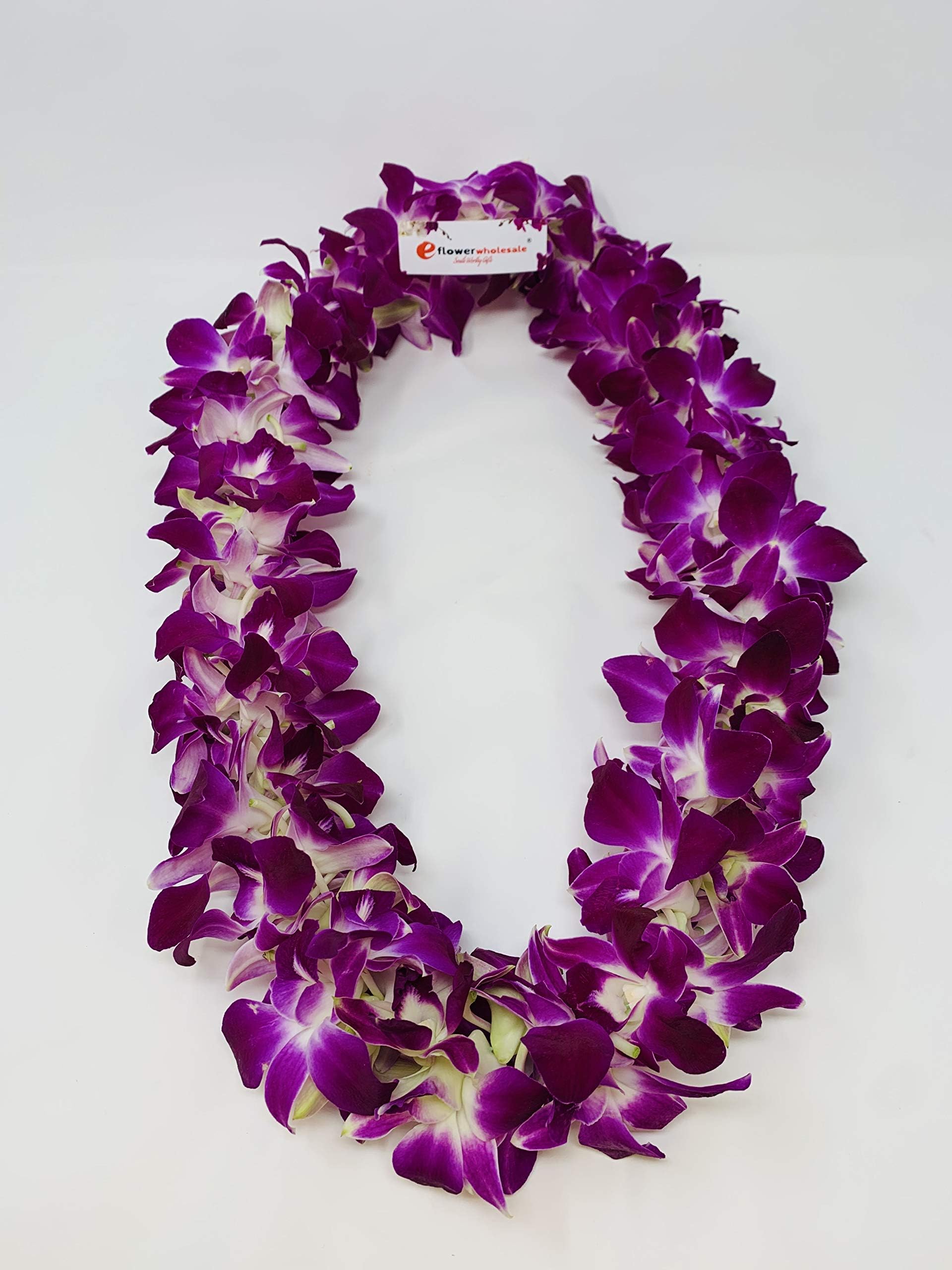 Amazon.com : Hawaiian Lei - Fresh Single Strand Orchid Lei - Colorful ...