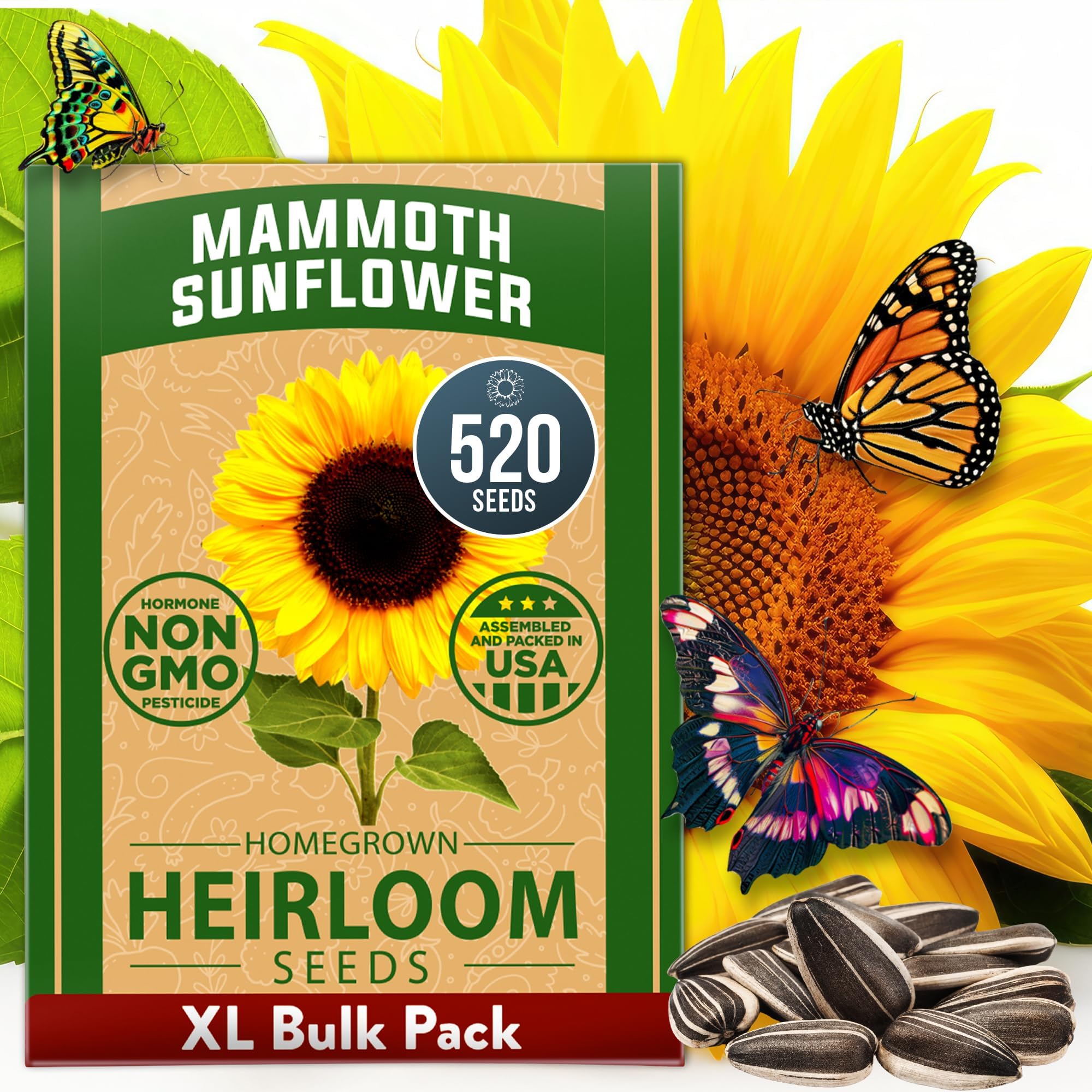 Amazon.com : Mammoth Sunflower Seeds for Planting - Grow Giant Sun ...