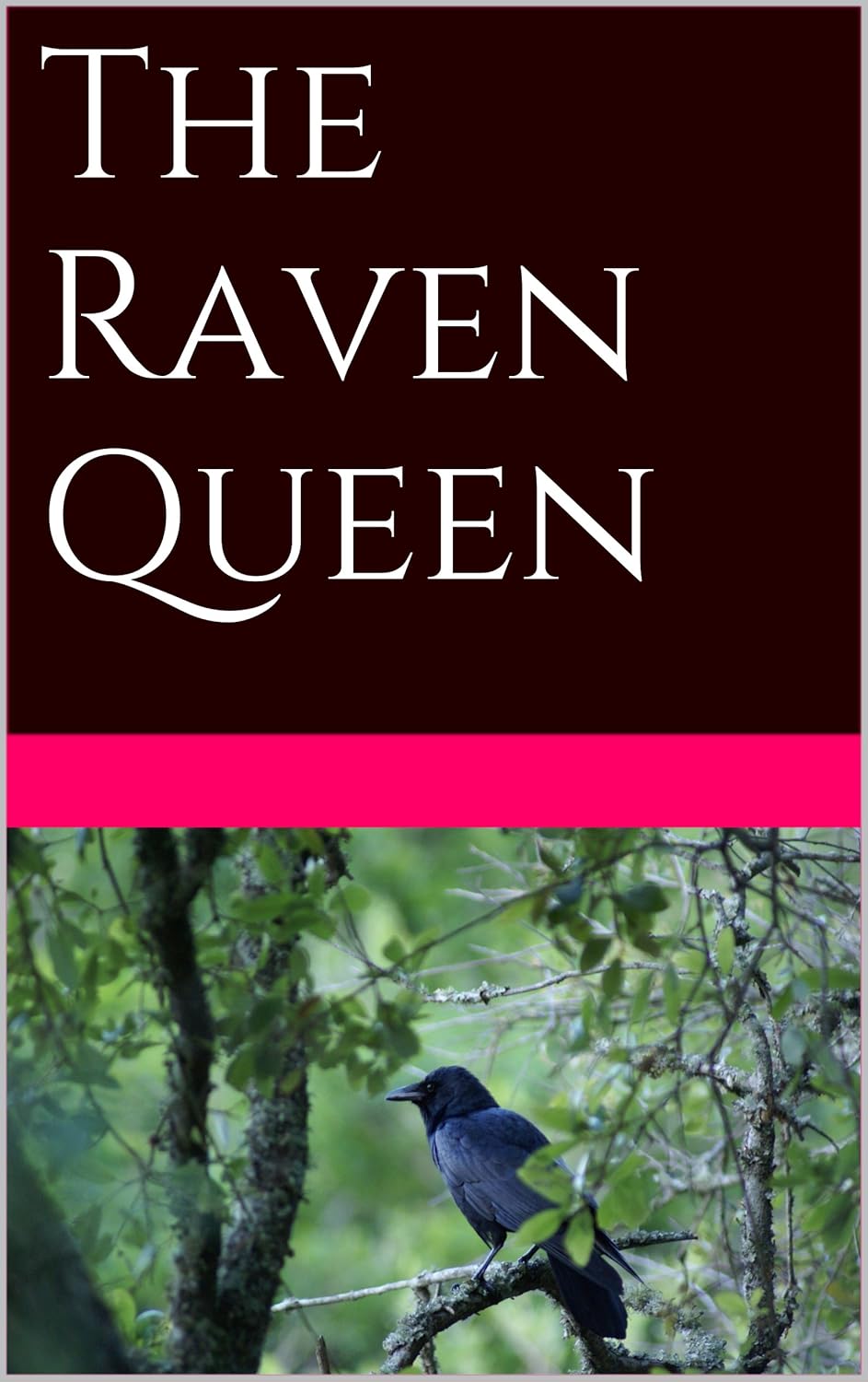 Amazon.com: The Raven Queen (Stories of the Raven Kingdom) eBook ...