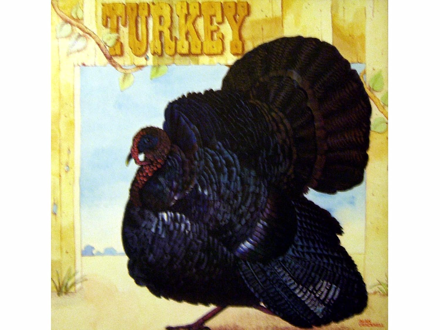 Amazon.com: Turkey: CDs & Vinyl