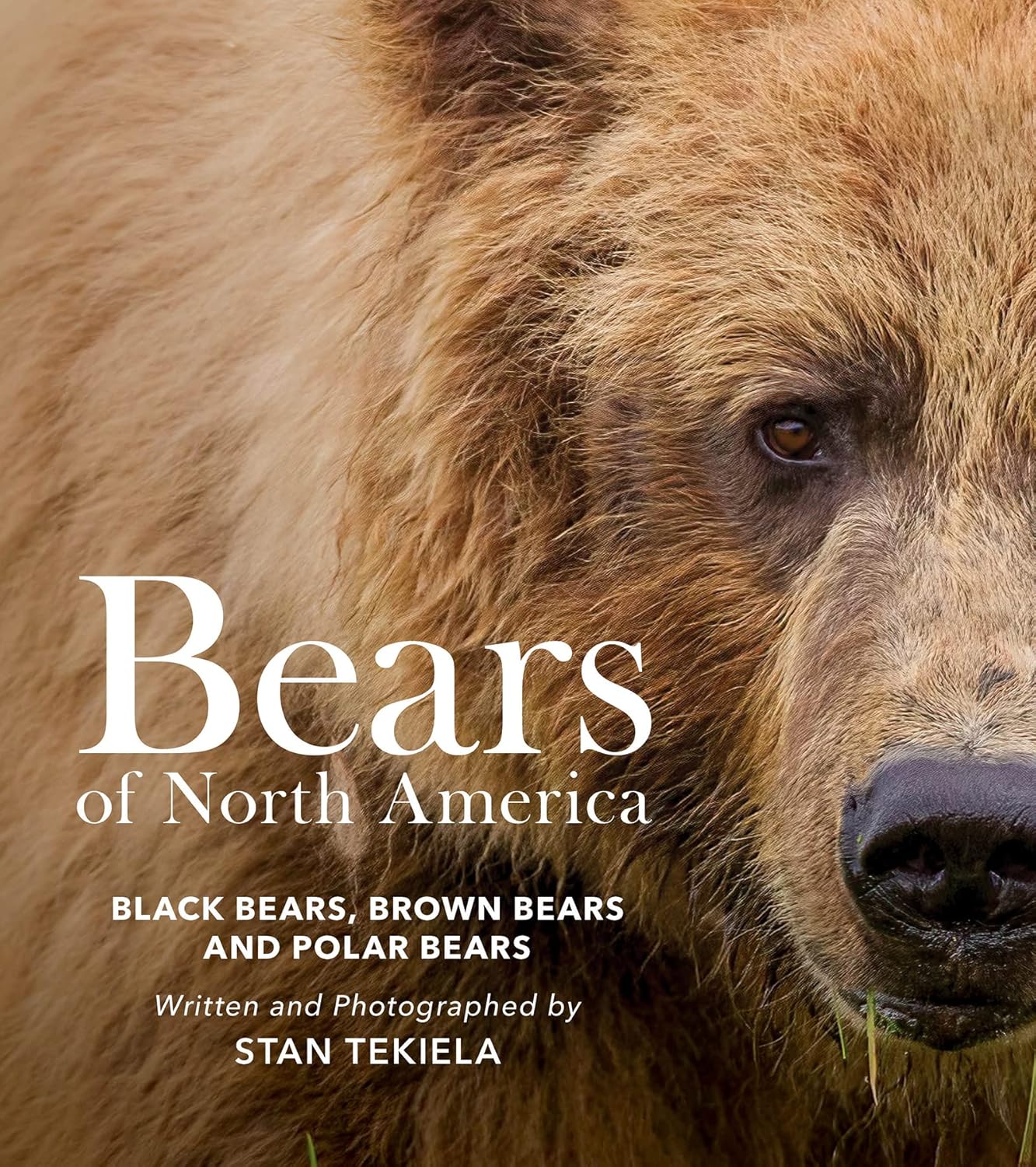 Bears of North America: Black Bears, Brown Bears, and Polar Bears (Favorite Wildlife) , Tekiela ...