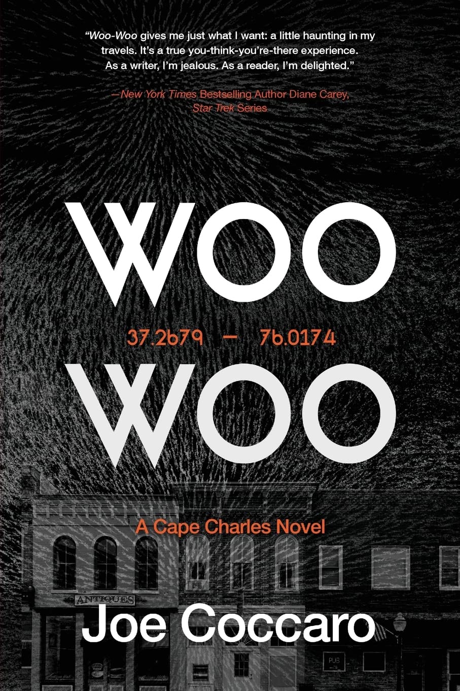 Amazon.com: Woo Woo: A Cape Charles Novel: 9781633935549: Coccaro, Joe ...