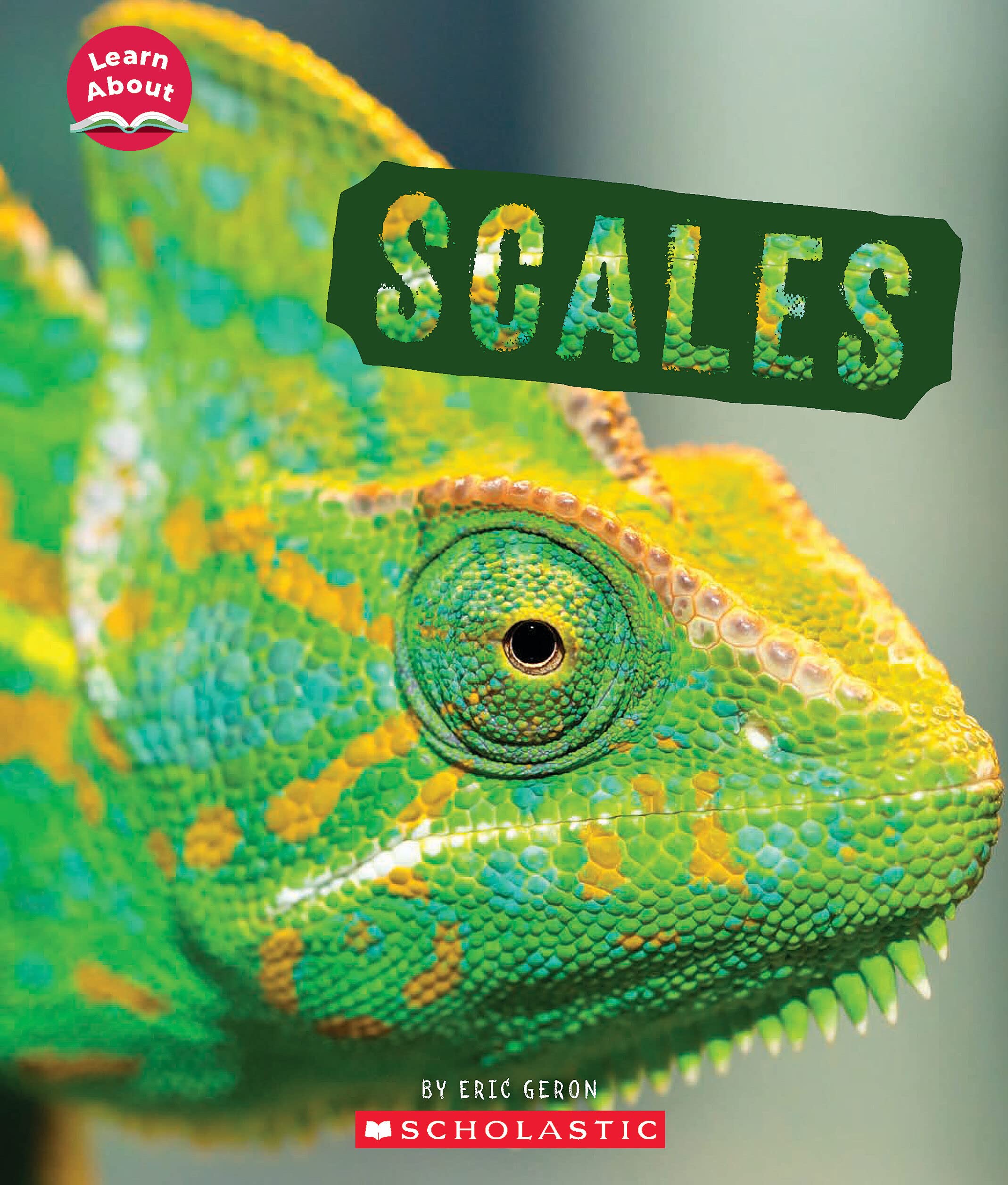 Scales (Learn About: Animal Coverings): Geron, Eric: 9781338898064 ...