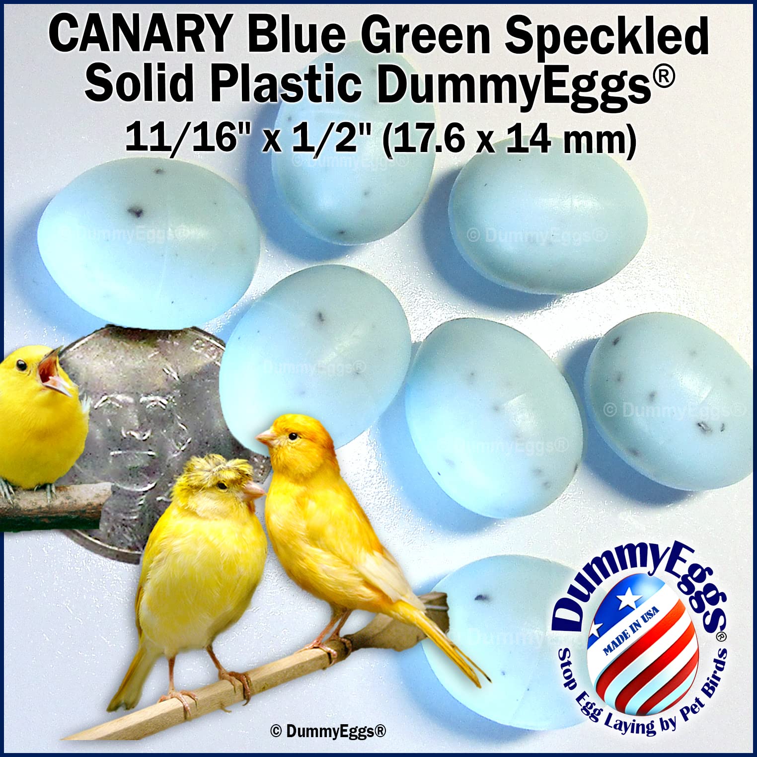 Blue Canary Eggs