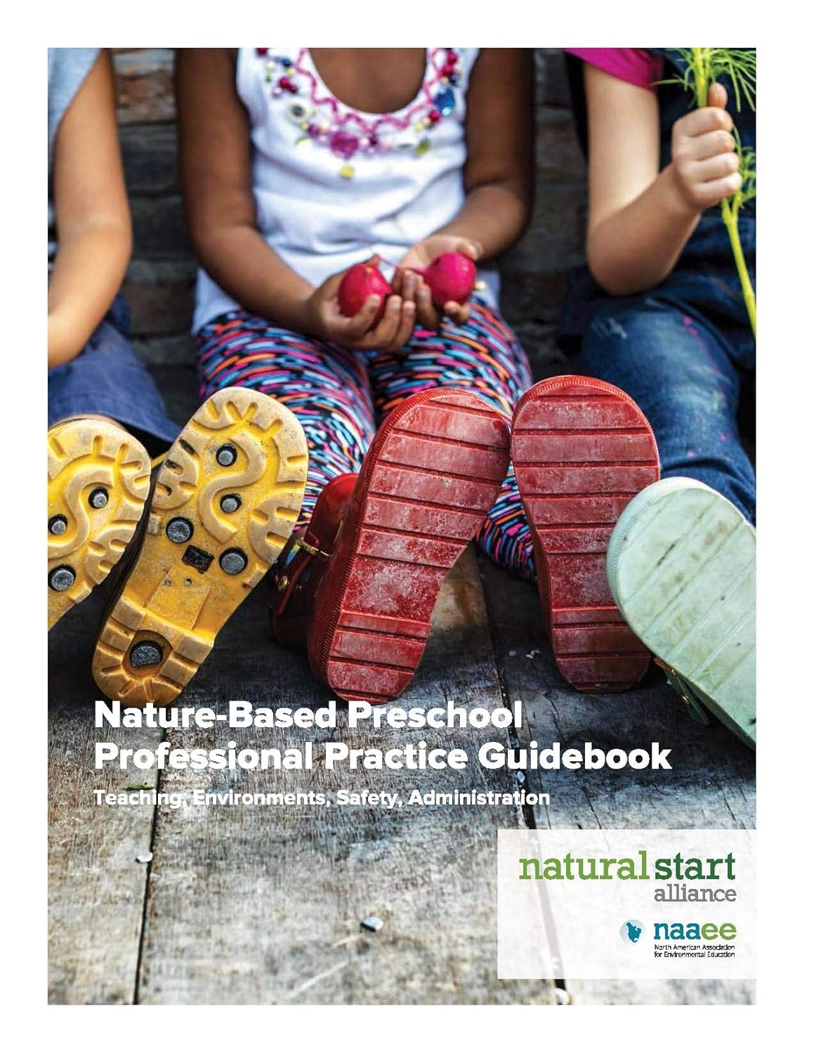 Nature-Based Preschool Professional Practice Guidebook : North American ...