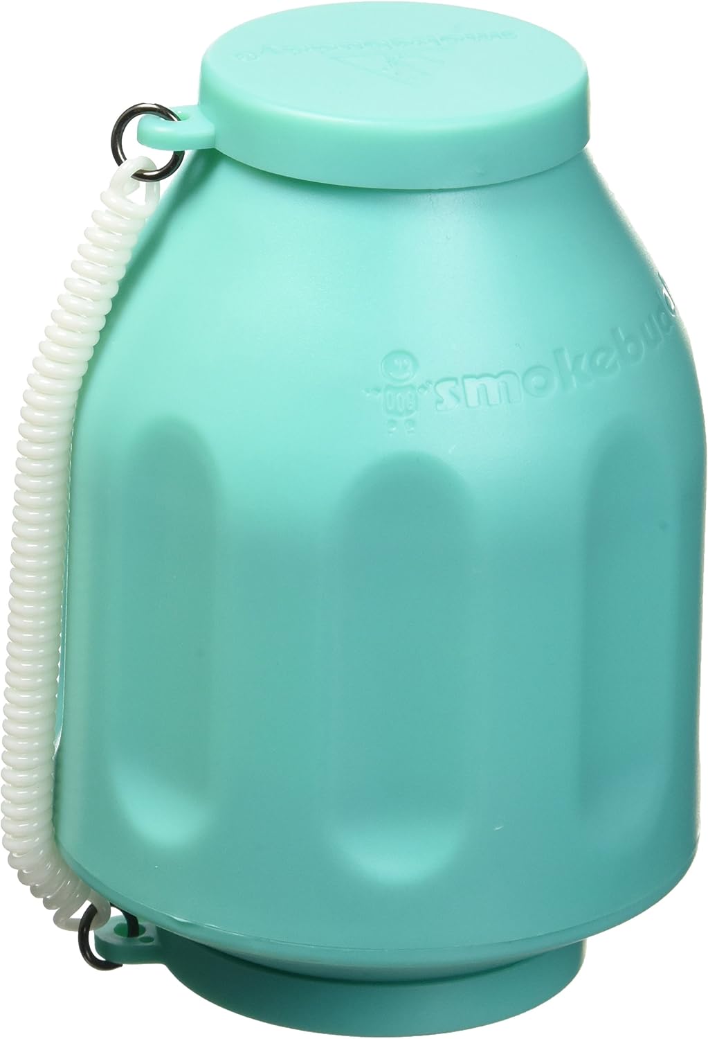 Amazon.com: Smoke Buddy Teal Original Personal Air Filter : Home & Kitchen