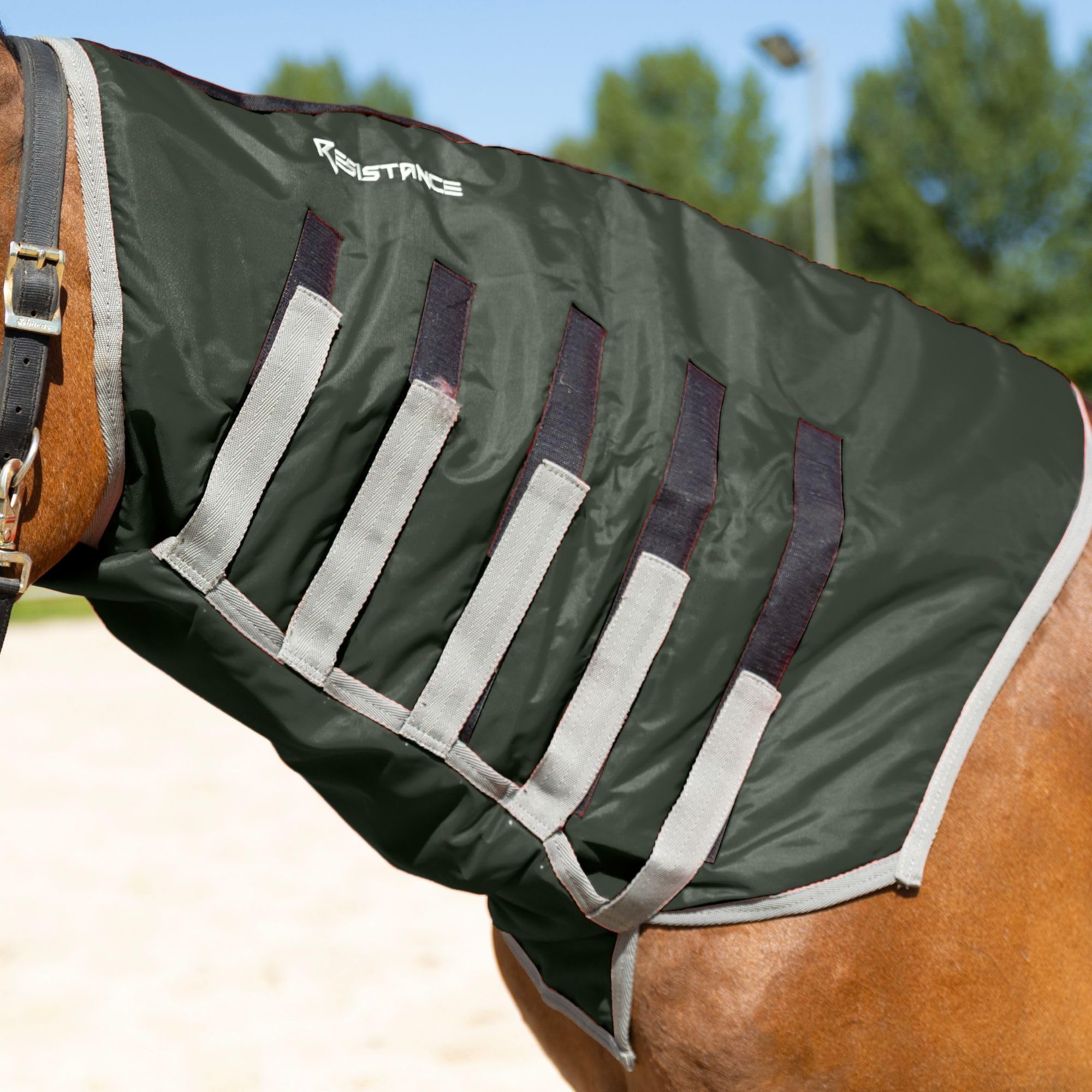 Snapklik.com : Resistance Lightweight Breathable Horse Sleazy Slickers ...