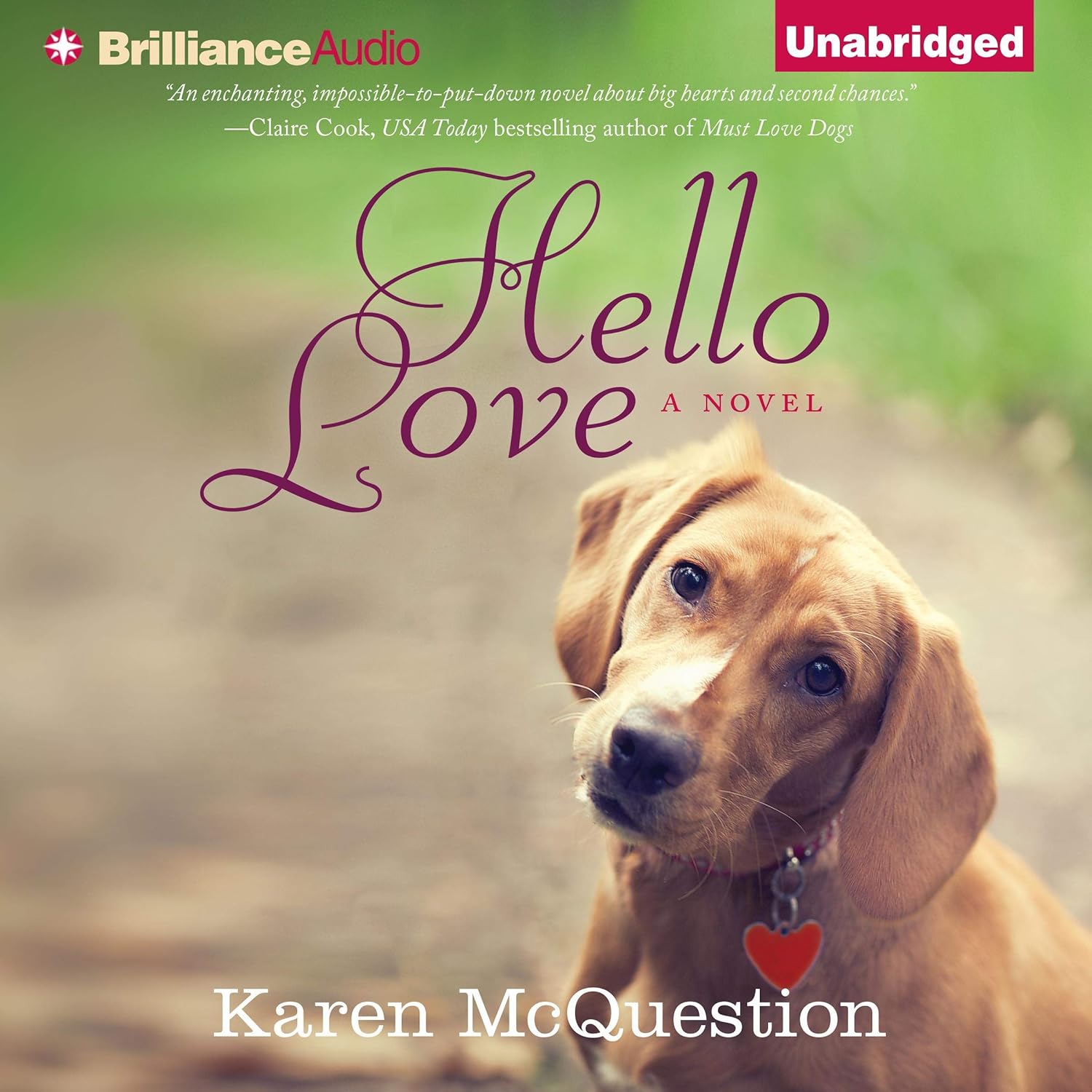 Amazon.com: Hello Love (Audible Audio Edition): Karen McQuestion, Dan ...