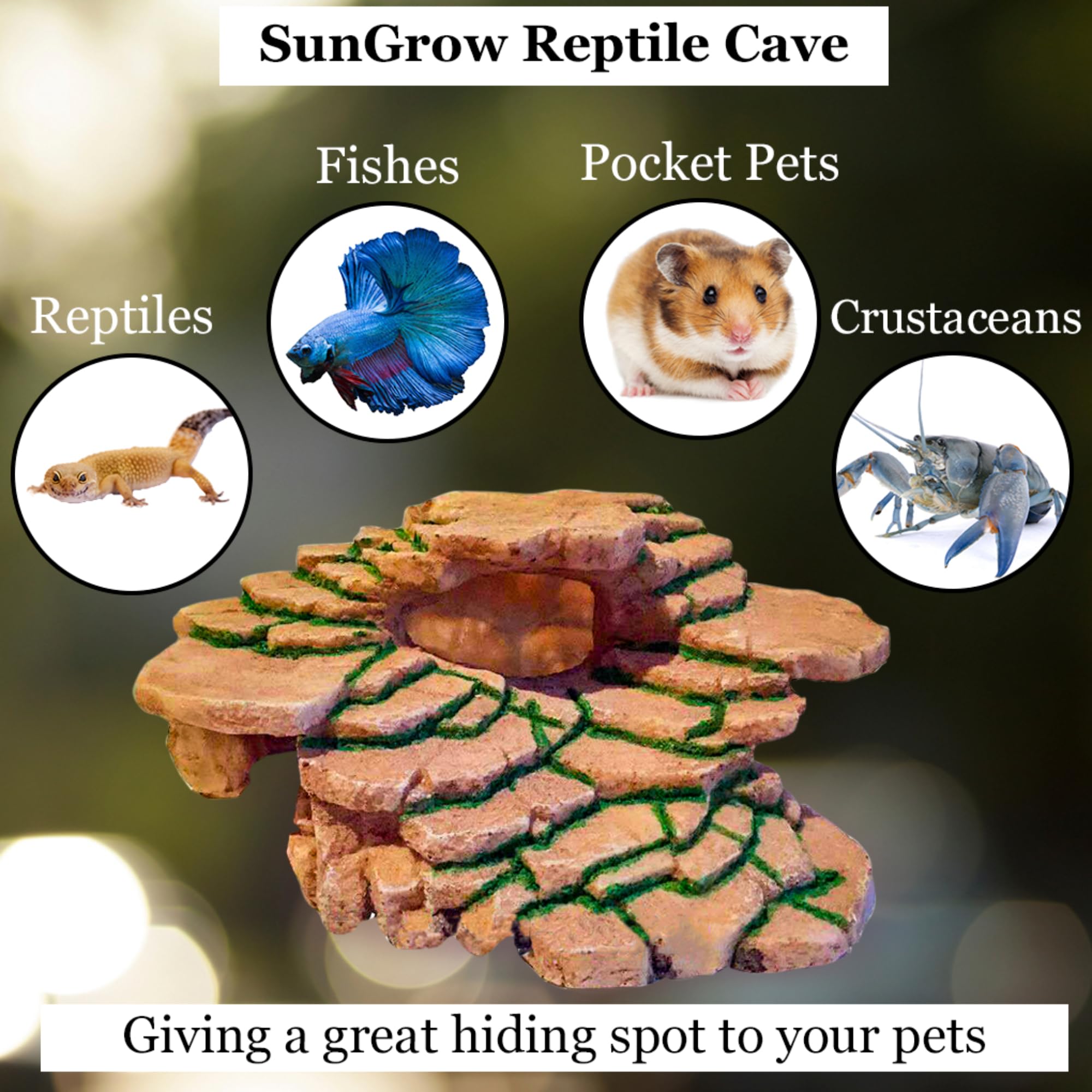 Snapklik.com : Gecko Rock Hide Basking Platform, Reptile Resting Shale ...