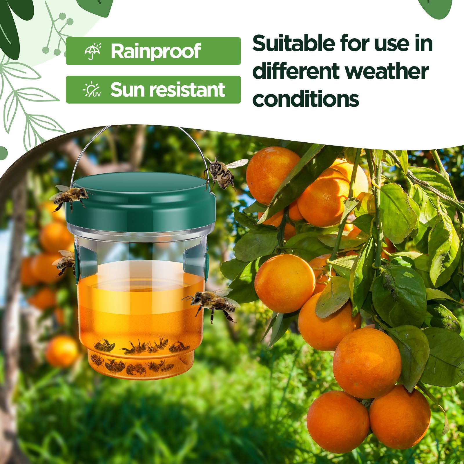 Snapklik.com : Qualirey 2 Pcs Wasp Traps For Outdoors Wasp Killer ...