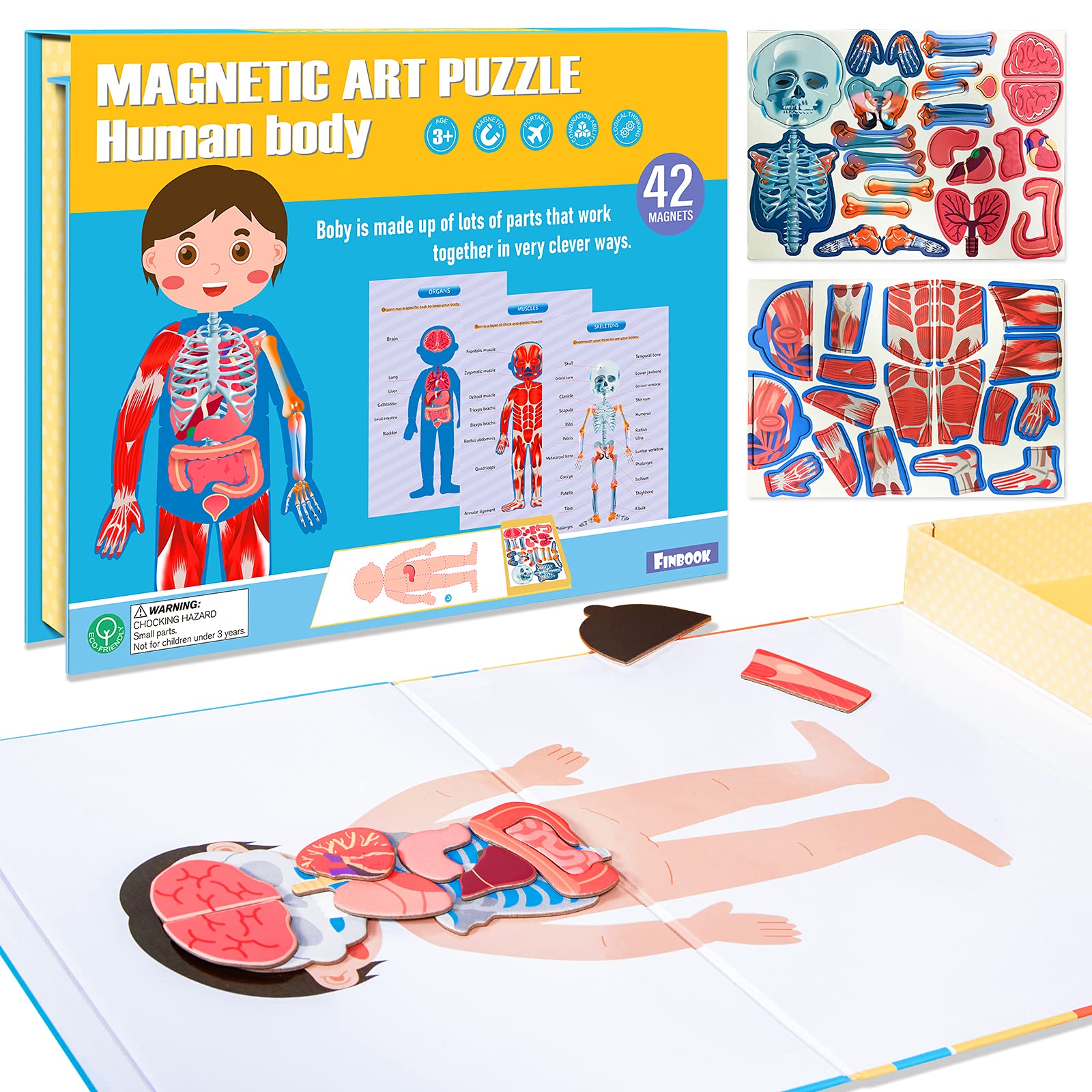 Buy Human Body Puzzle 42 Pieces Magnetic Anatomy Puzzle For Kids 