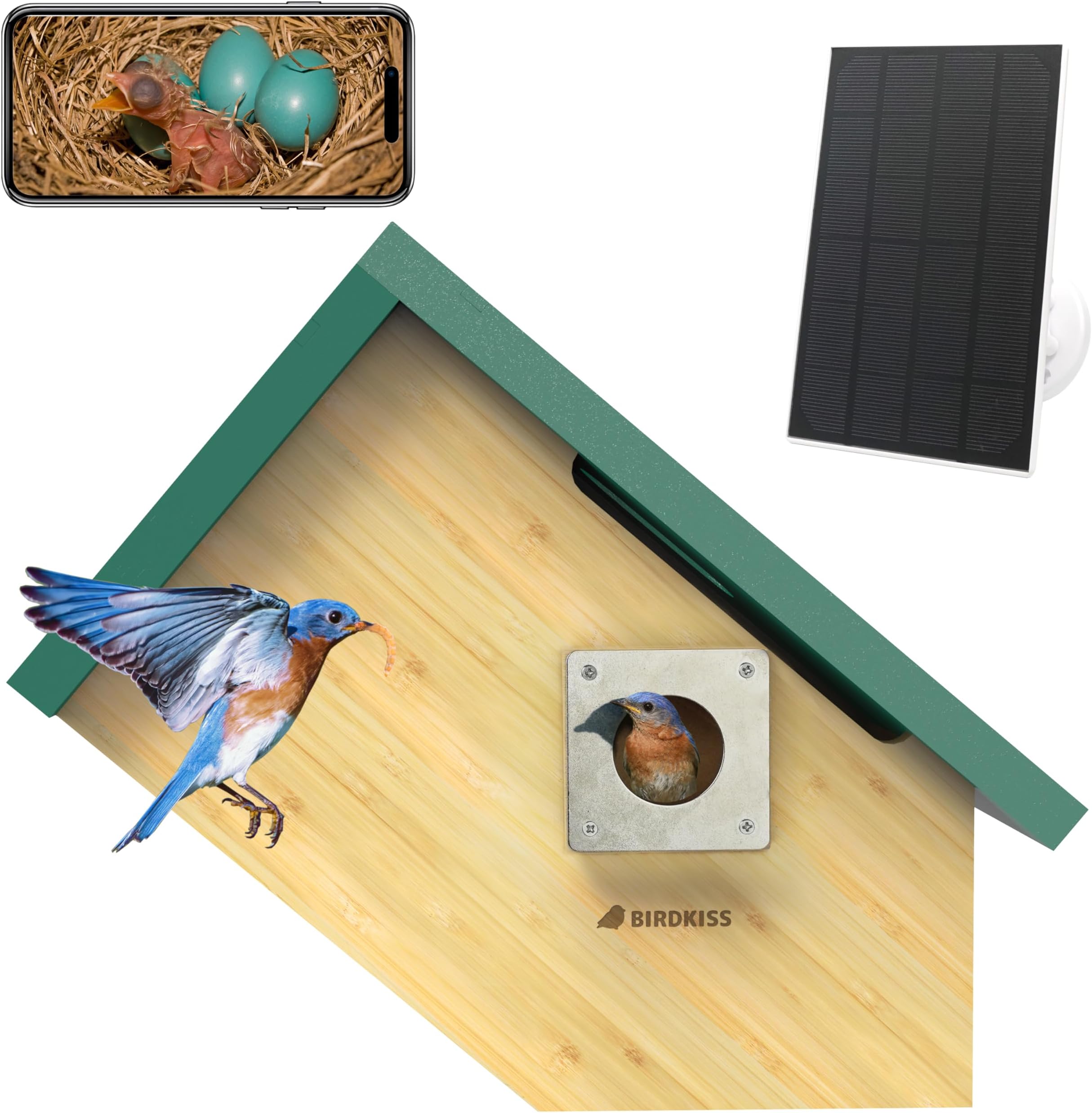 Amazon.com: JEAPKA Smart Bird House with Camera, 1080p HD Bird House ...