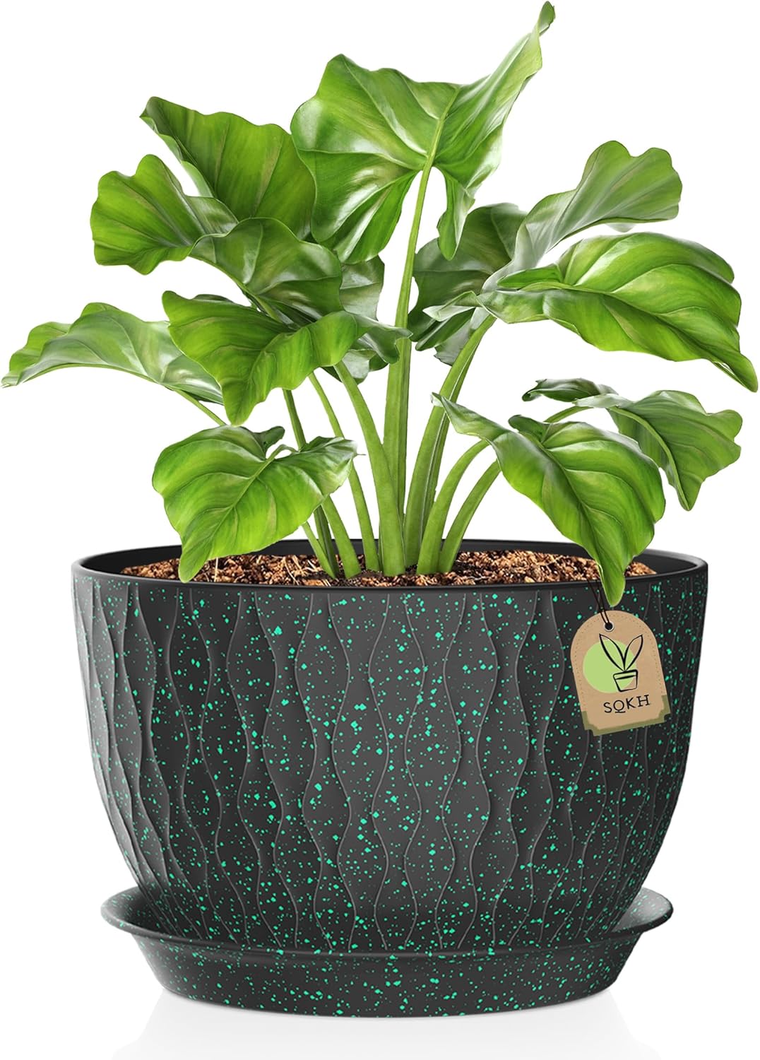 Amazon.com: SQKH 12 Inch Plant Pots, Large Flower Pots for Indoor and ...