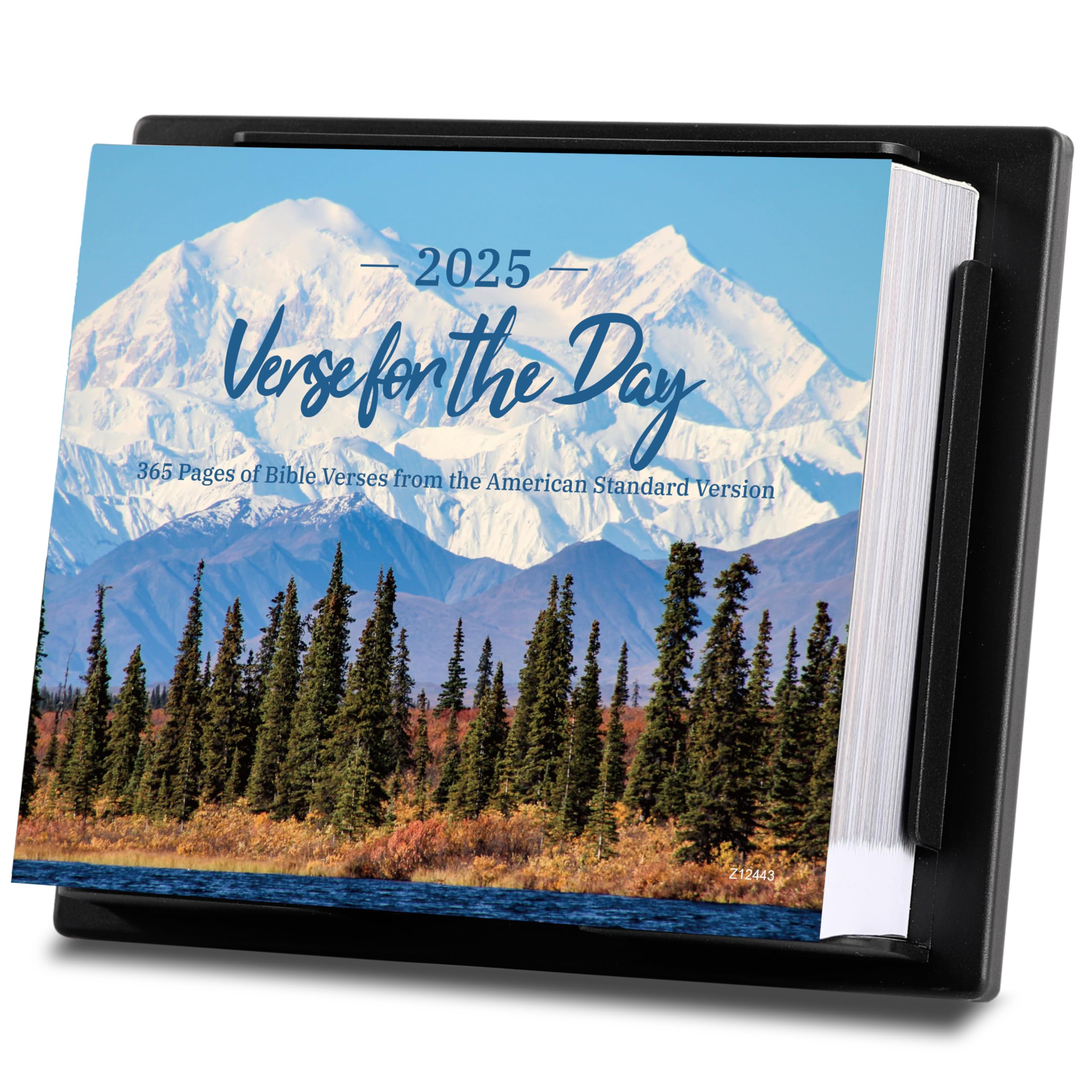 Amazon.com : 2025 Bible Calendar - 365 Day Calendar with Bible Verses ...