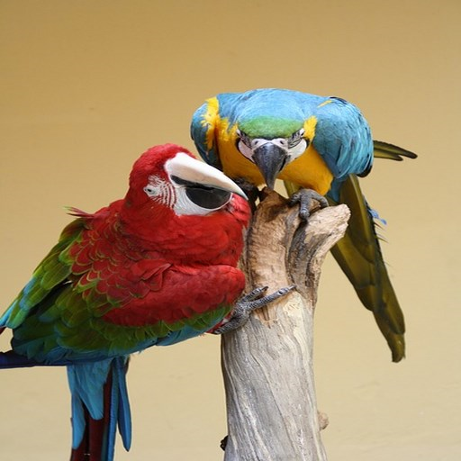 Bargan - App on Amazon Appstore