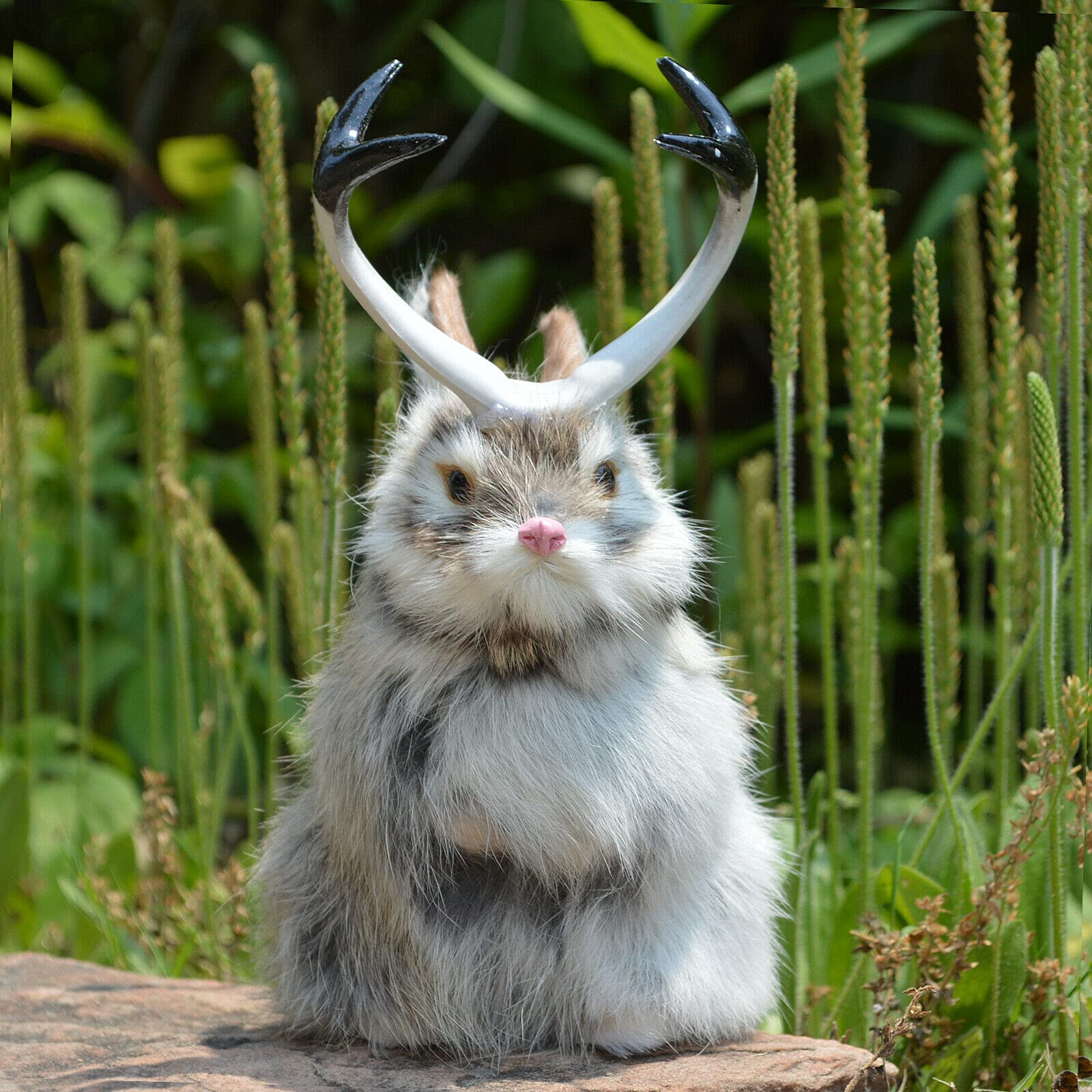 Real Jackalopes