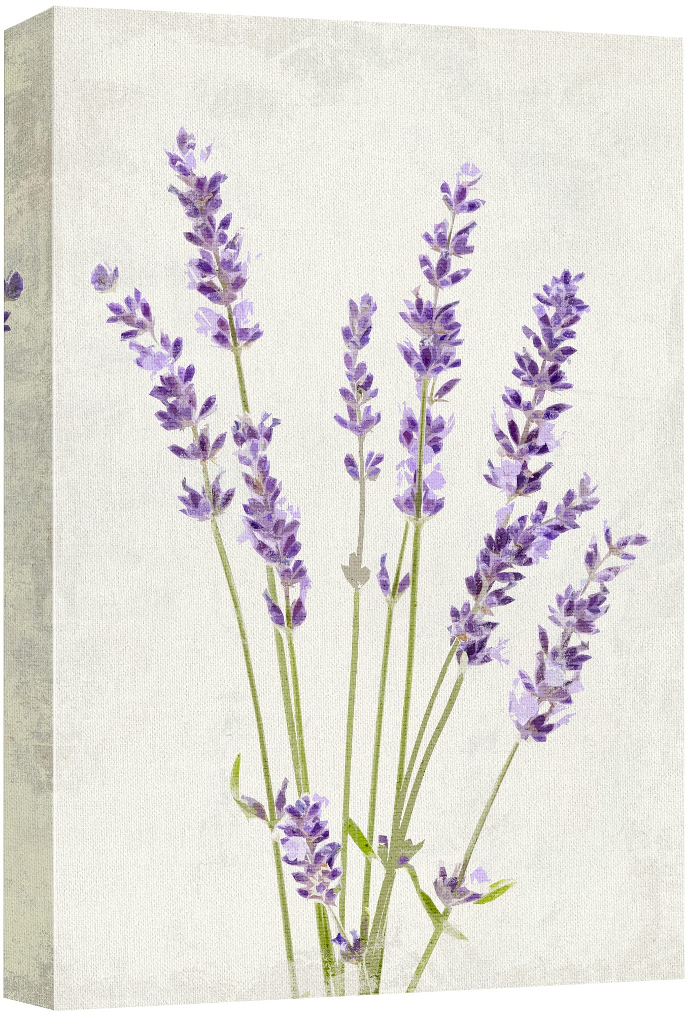 English Lavender Bouquet