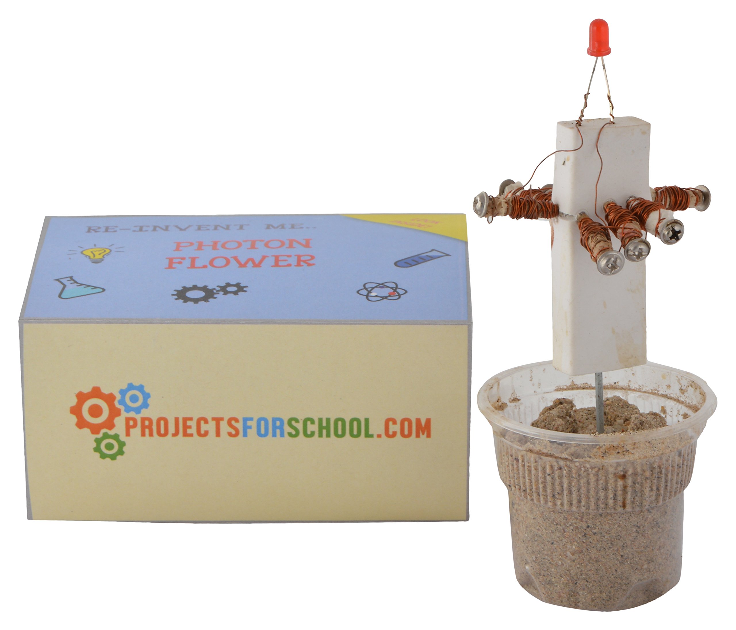 Flower Model Science Project Recycled Plastic Flowers Art And Science