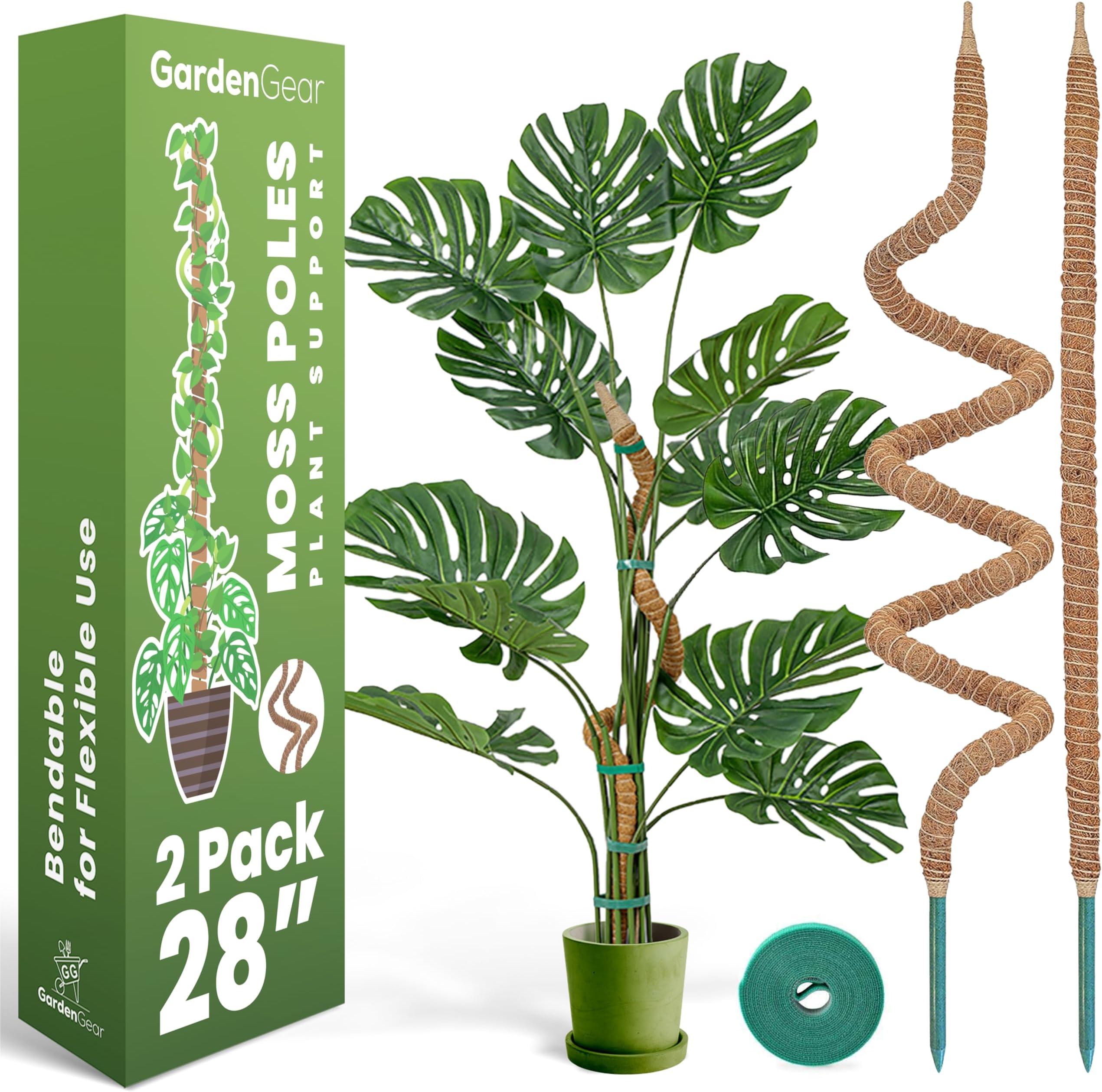 Amazon.com : Baychon Moss Pole Monstera Plant Support Stakes, Monstera ...