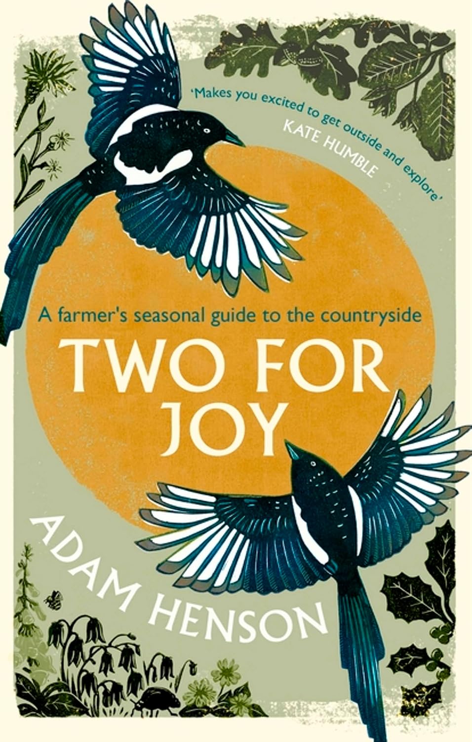 Two for Joy: The untold ways to enjoy the countryside: Amazon.co.uk ...