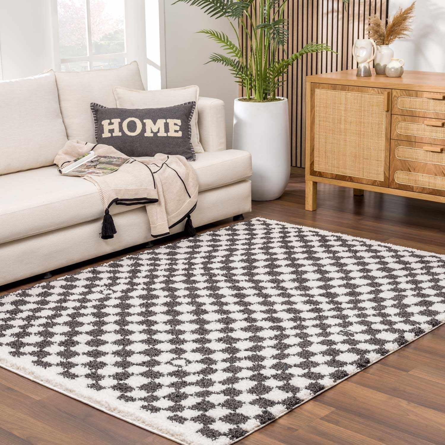 Amazon.com: Hauteloom Kieu Contemporary Checkered Fluffy Shag Area Rug ...