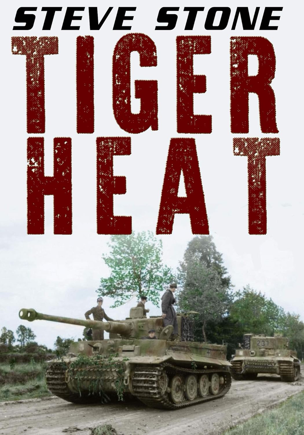 Amazon.com: Tiger Heat: Panzerkampfwagen VI Tiger tank (World War Two ...