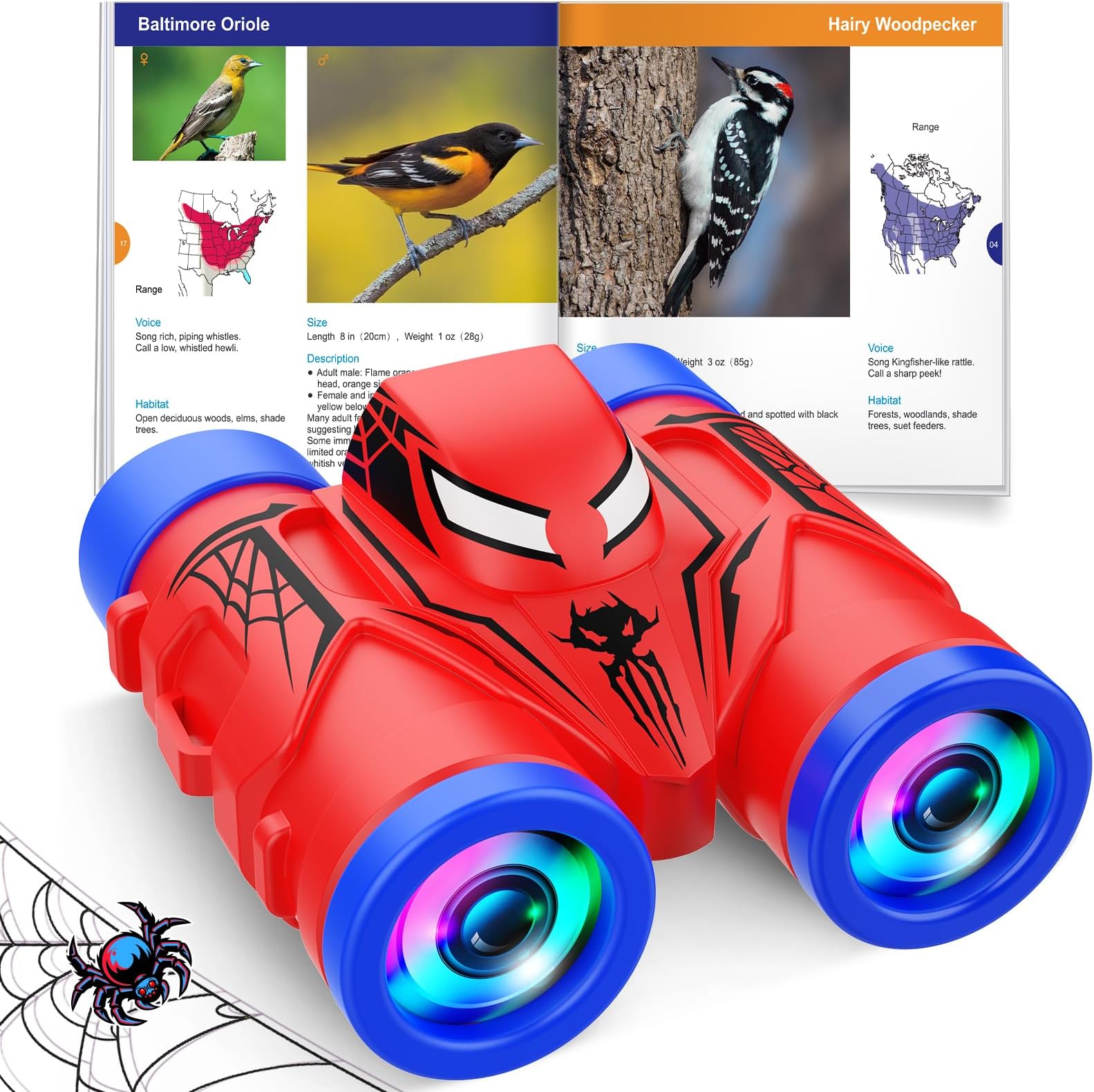 Amazon.com : Binoculars Toys for Kids Ages 3-8: Spidolapse Outdoor ...