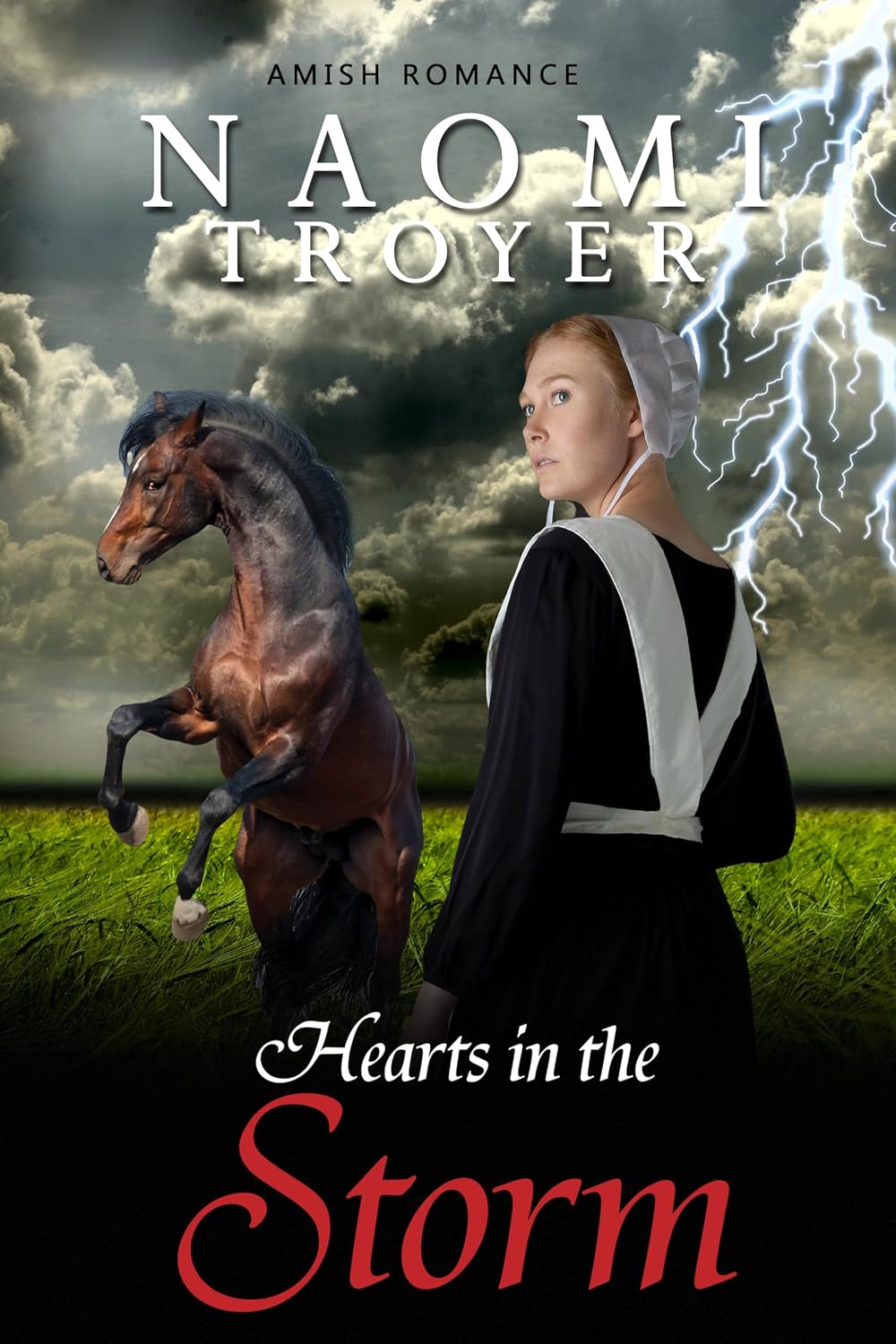 Amazon.com: Hearts in the Storm eBook : Troyer, Naomi: Books