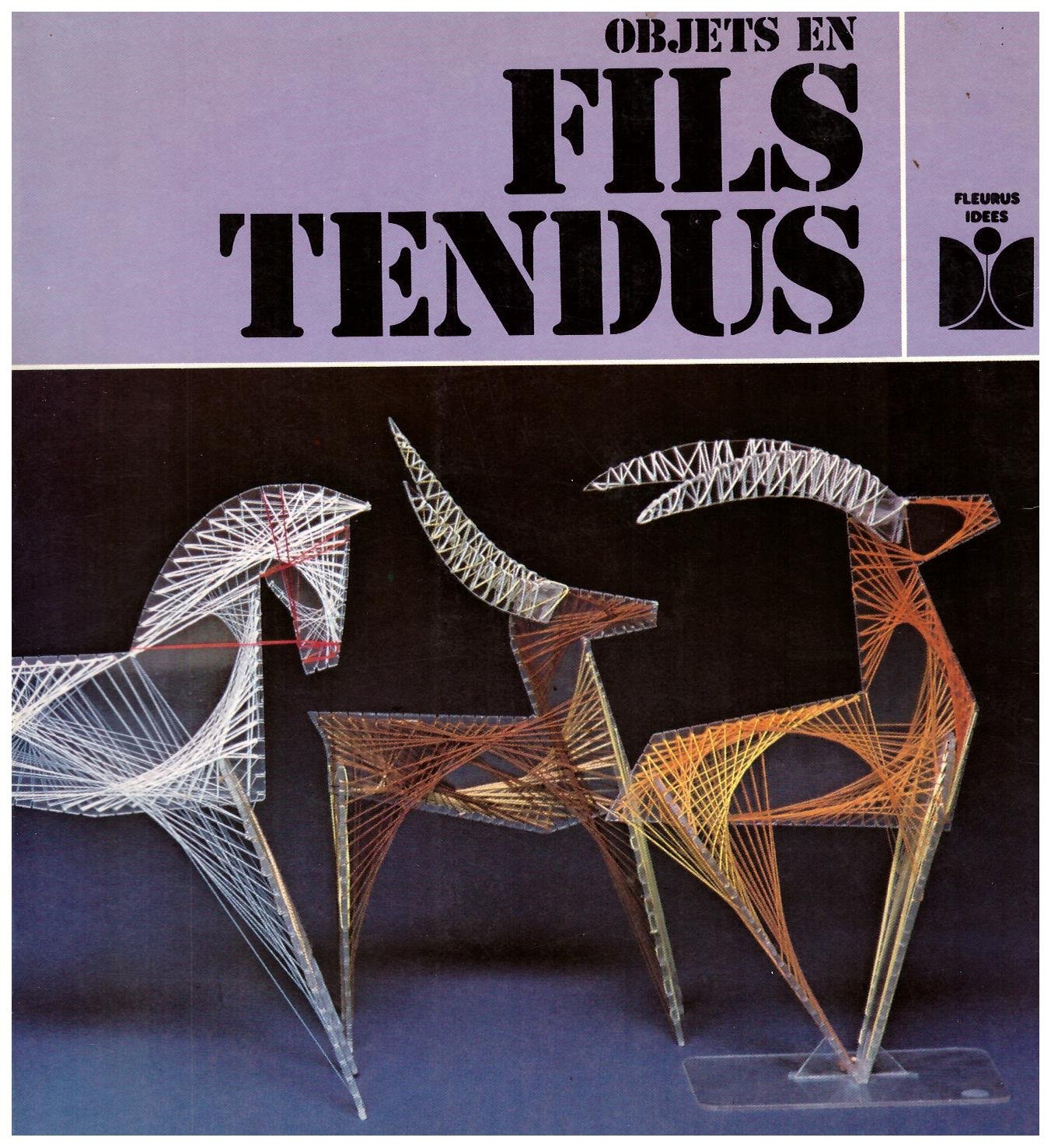Objets en fils tendus (Fleurus idées) : Amazon.in: Books
