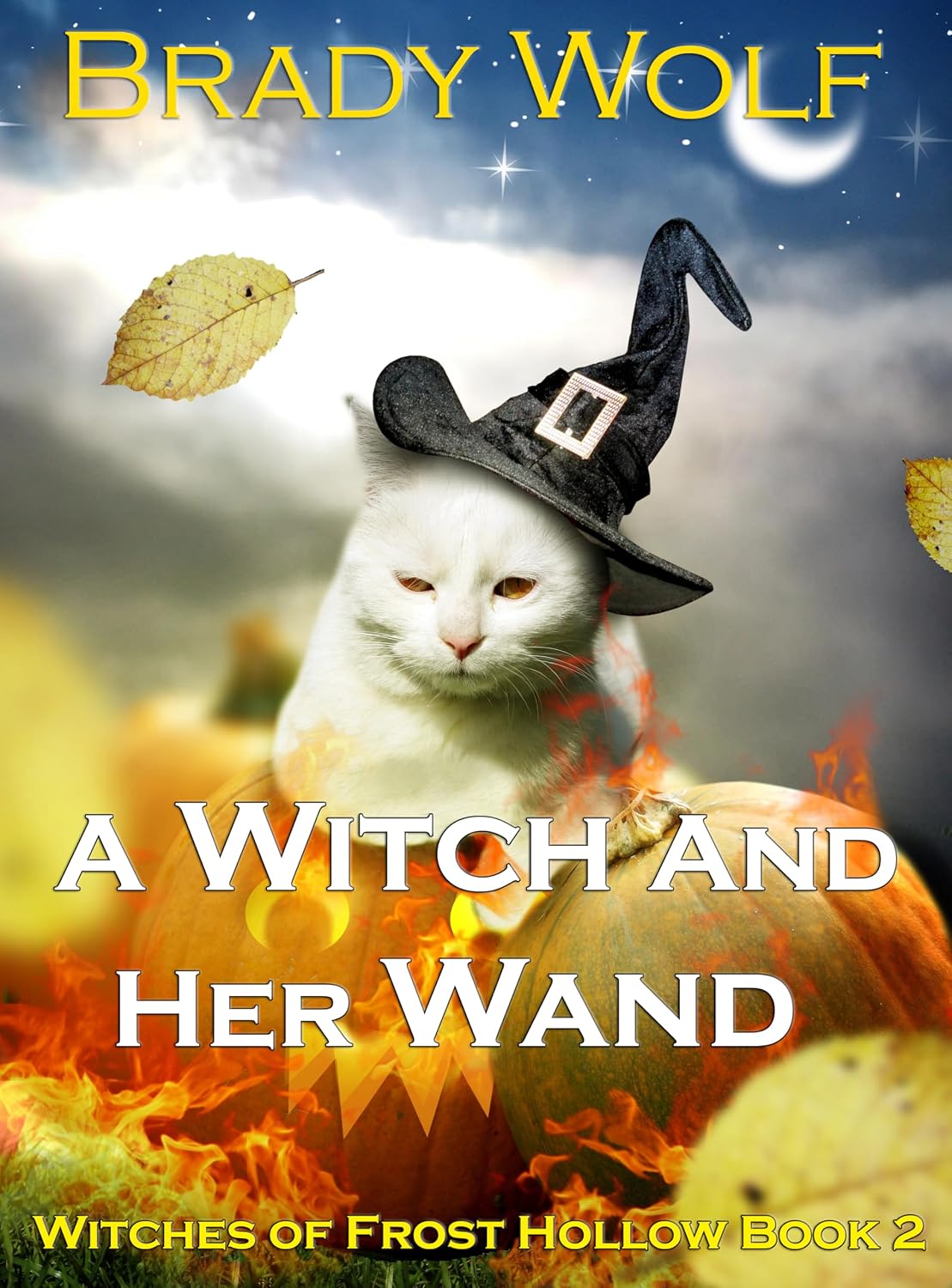 A Witch and Her Wand (Witches of Frost Hollow Book 2) - Kindle edition ...
