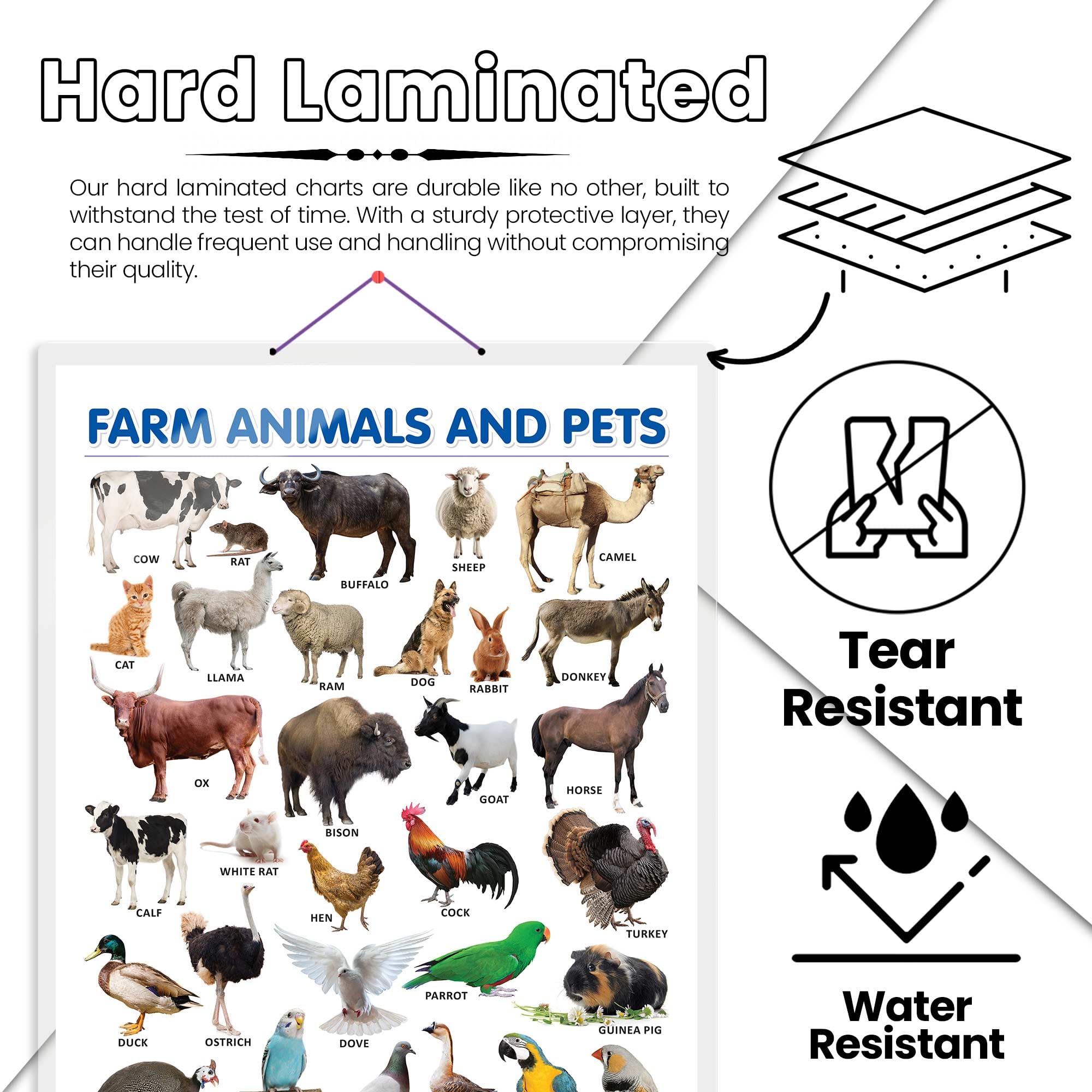 Chart Uses Of Animals Images Laminated Chart (Farm Animals And Their