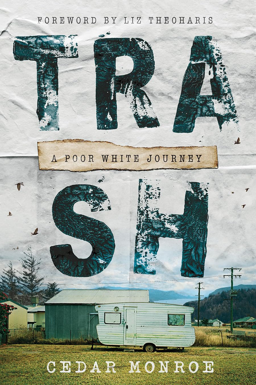 Amazon.com: Trash: A Poor White Journey: 9781506486277: Monroe, Cedar ...