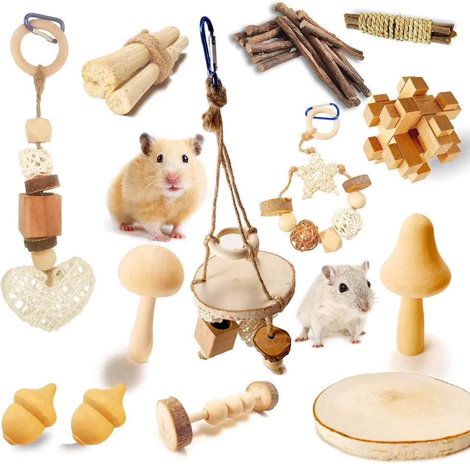 The Lifespan Of A Russian Hamster: Understanding Their Longevity | PetShun