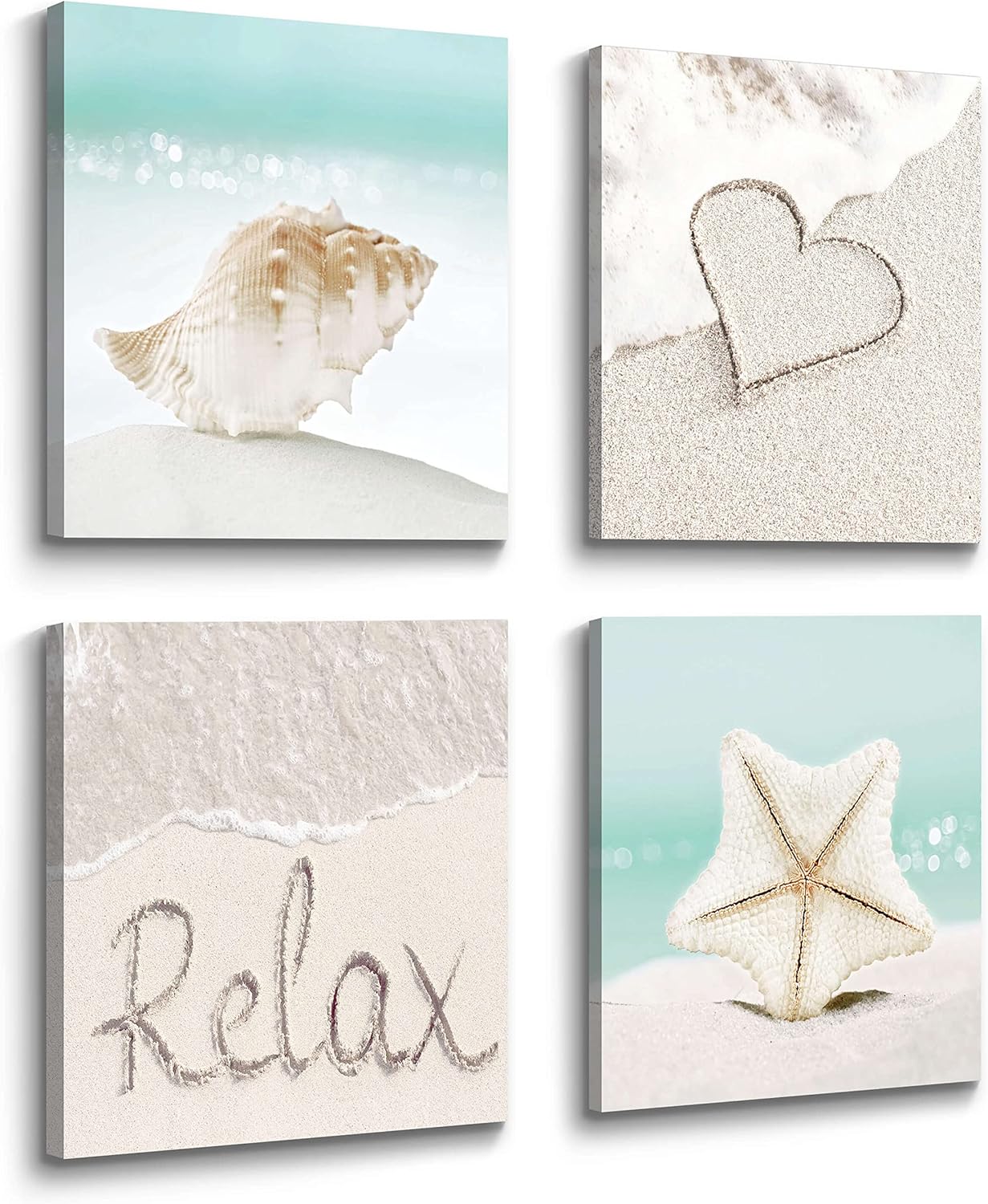 Amazon.com: Coastal Seashell Picture Wall Art - Beach Canvas Prints ...