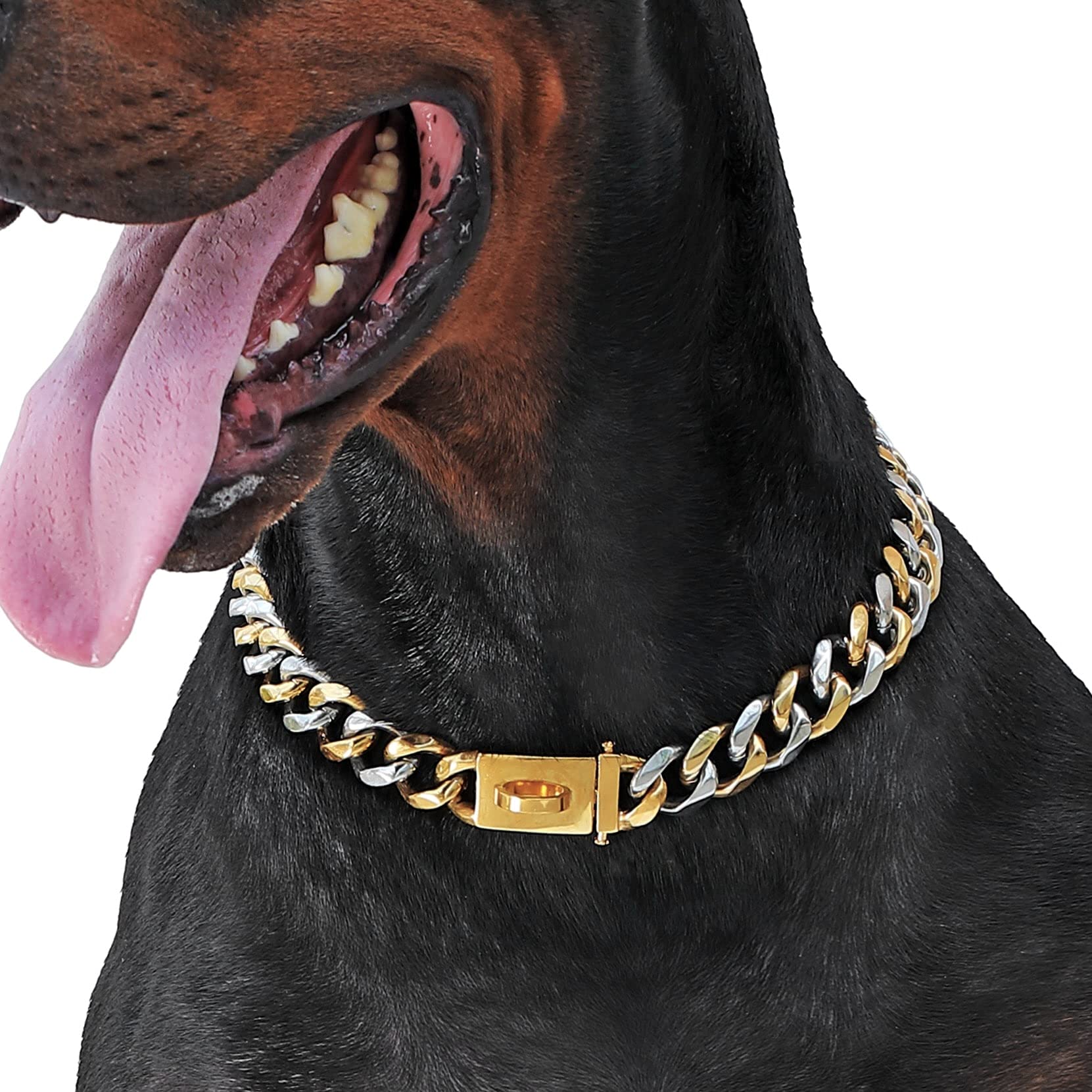 Gold Link Dog Chain on Sale | www.danzhao.cc