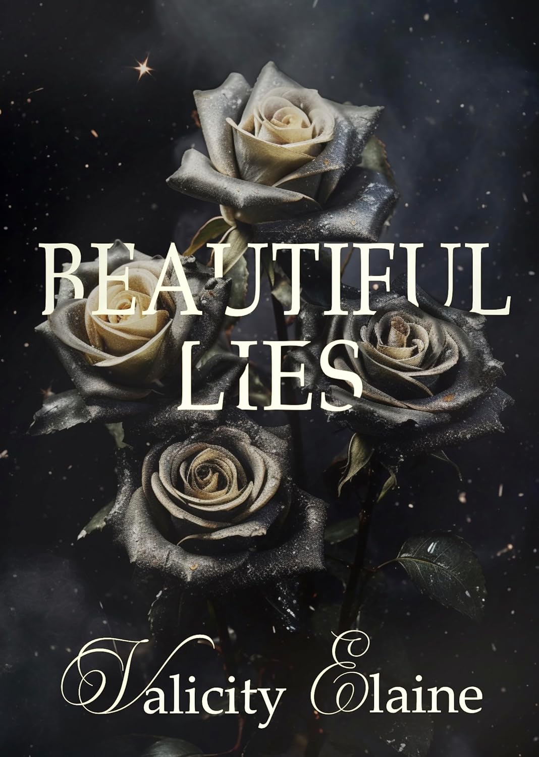 Amazon.com: Beautiful Lies: A Dark Romance for Christian Women ...