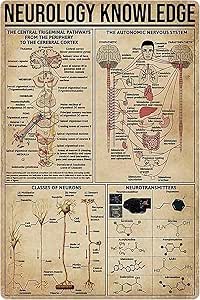 Amazon.com: JIUFOTK Neurology Knowledge Metal Tin Sign Doctor Anatomy ...