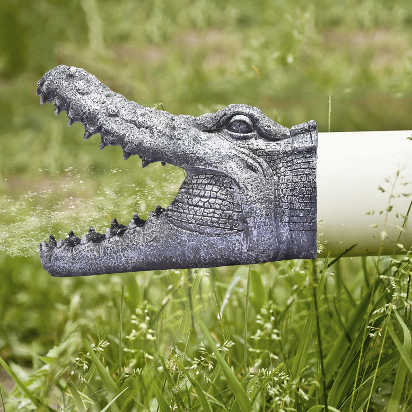 Alligator Gutter