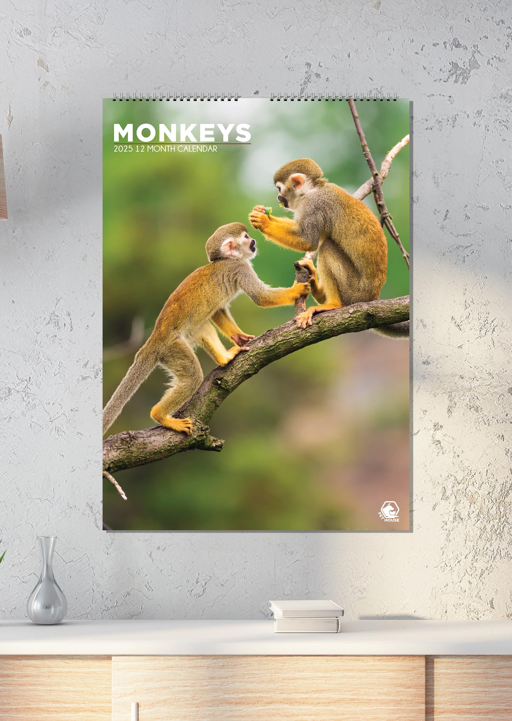 Monkeys 2025 – A3 Size Wirobound Calendar – BigaMart