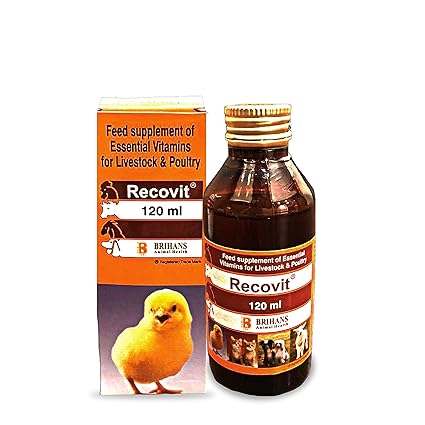 Recovit - 120 ml : Amazon.in: Health & Personal Care