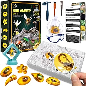 Amazon.com: Amber Dig Kit-Artificial Insect Resin, Excavate 6 Insects ...