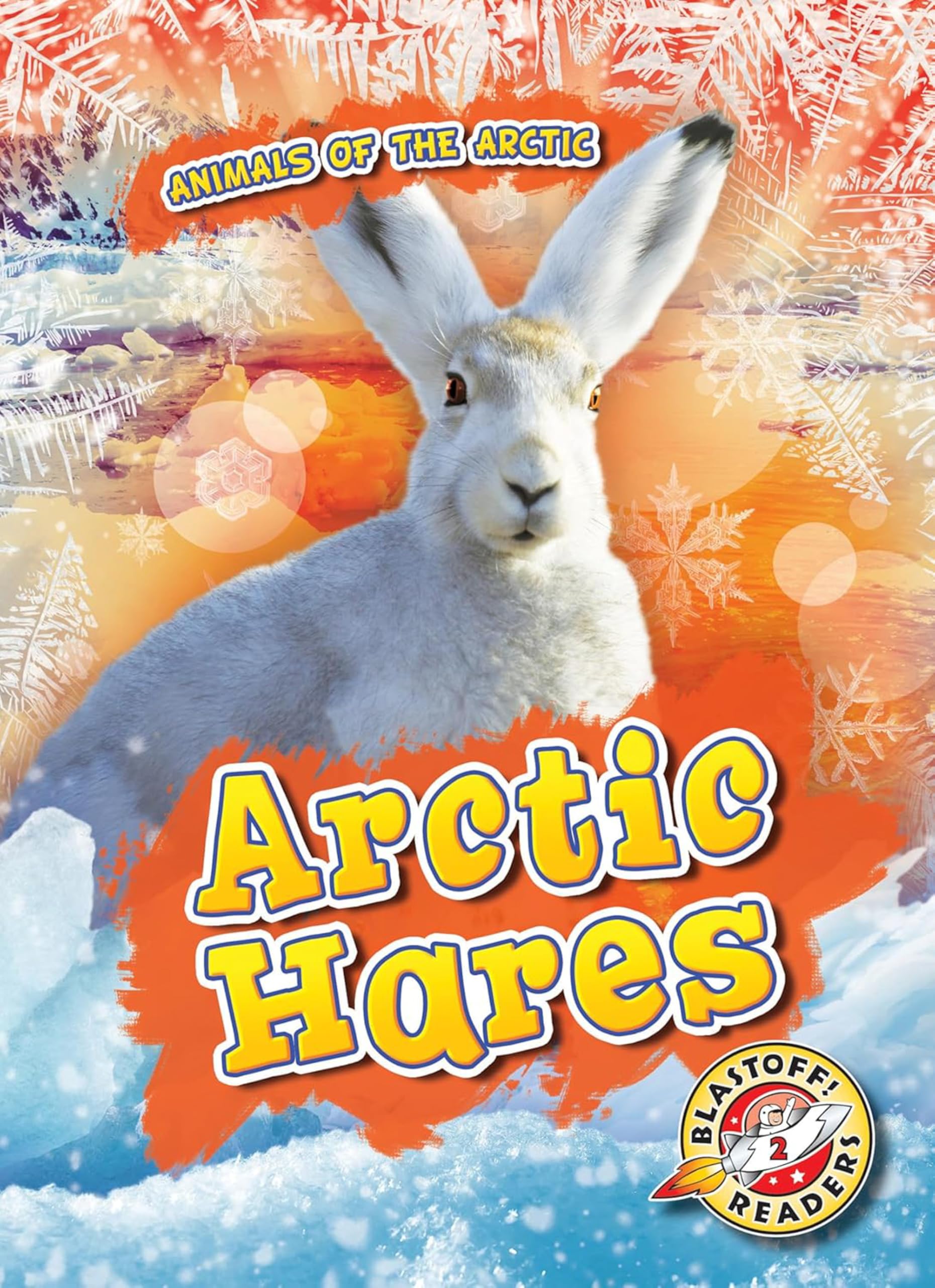Arctic Hares (Animals of the Arctic): Rebecca Pettiford: 9781626179400 ...
