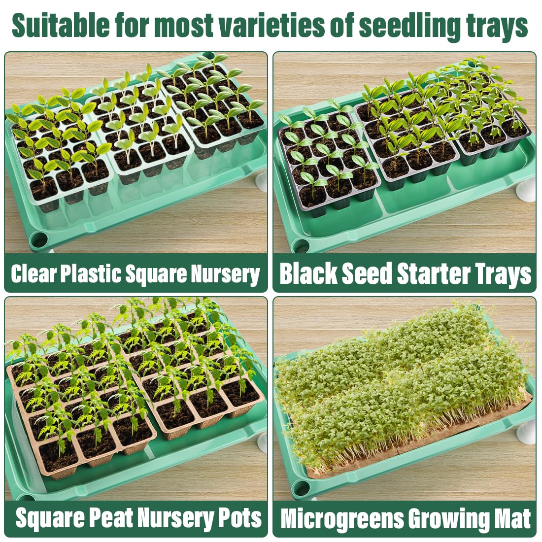Snapklik.com : RooTrimmer 5-Tier Seed Stand