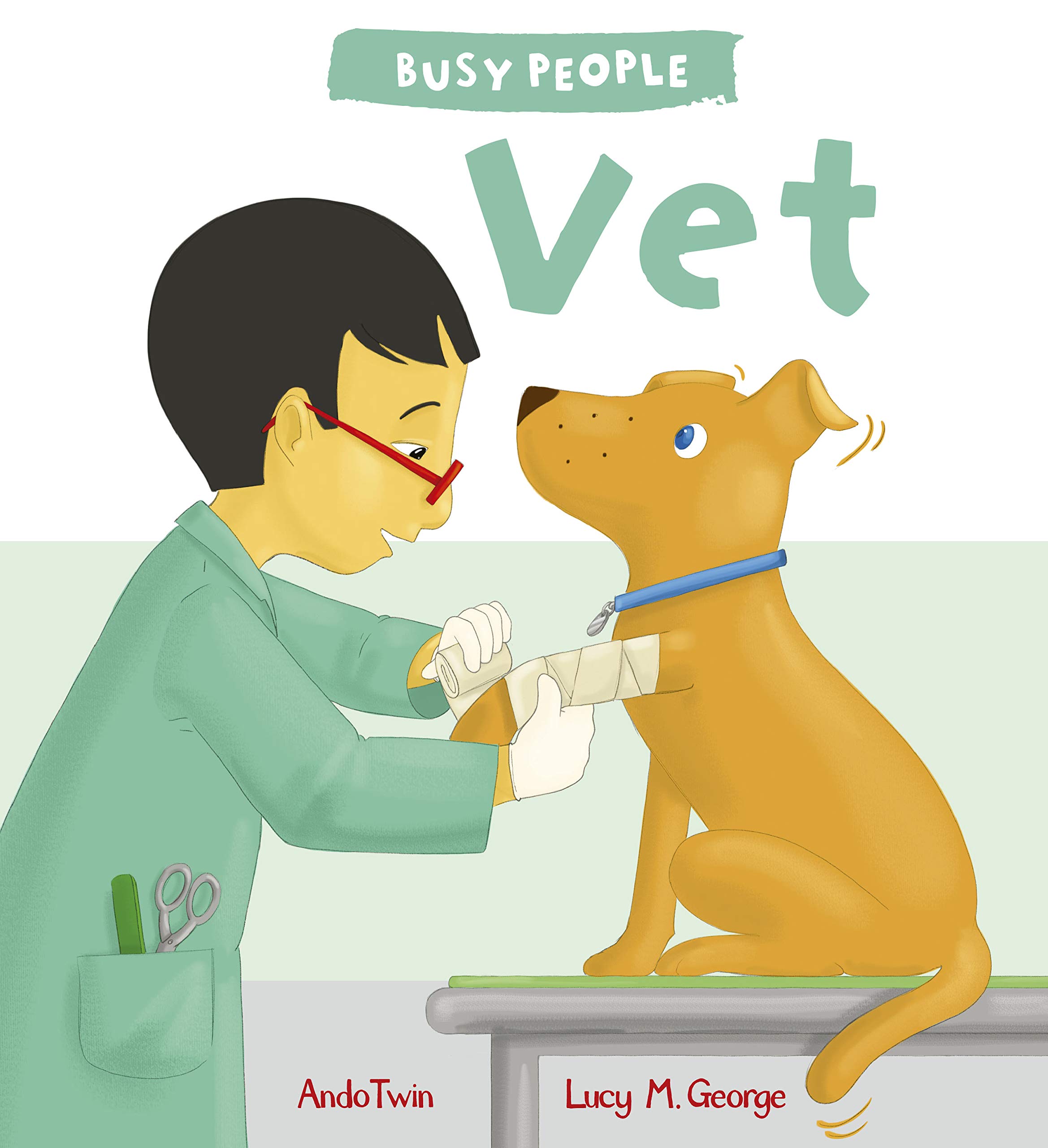 Vet (Busy People): M. George, Lucy, AndoTwin: 9781784931537: Amazon.com ...