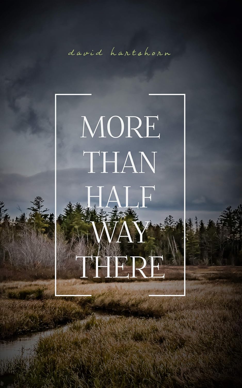 More Than Halfway There - Kindle edition by Hartshorn, David ...