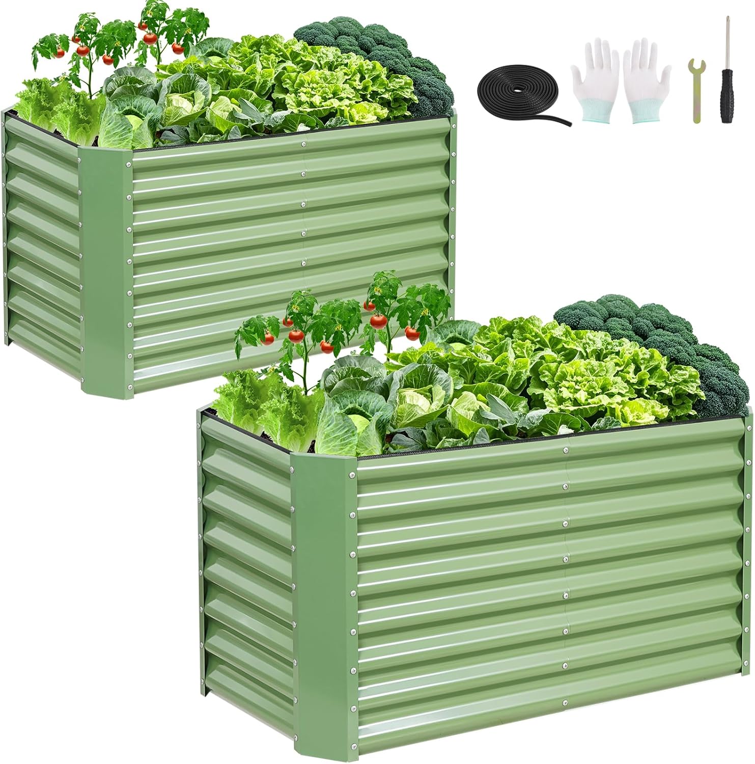 Amazon.com: GoCampDirect 4x2x2ft (2 Pack) Raised Garden Bed ...