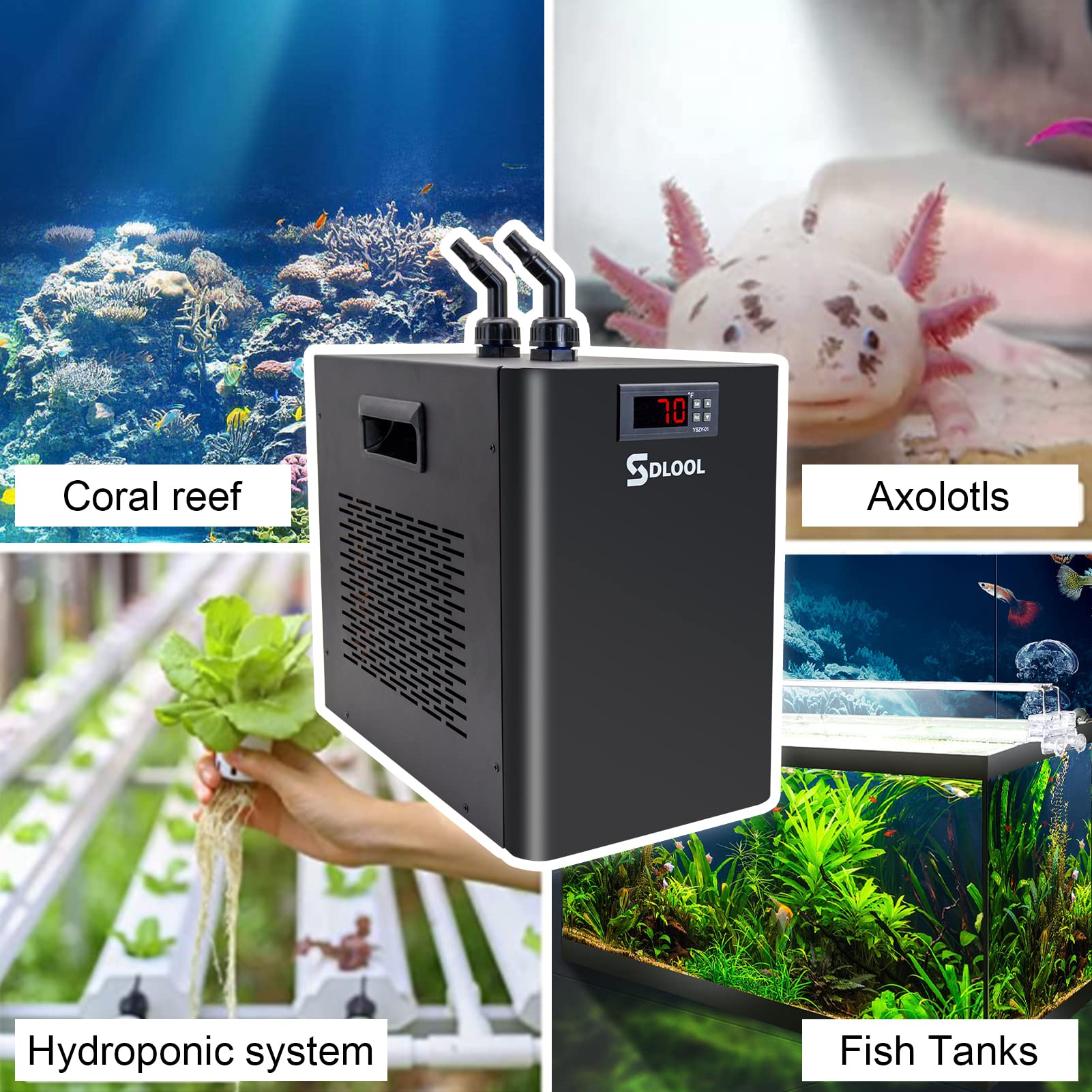 SDLOOL Aquarium Chiller 42gal 1/10 HP Water Chiller 160L Fish Tank ...