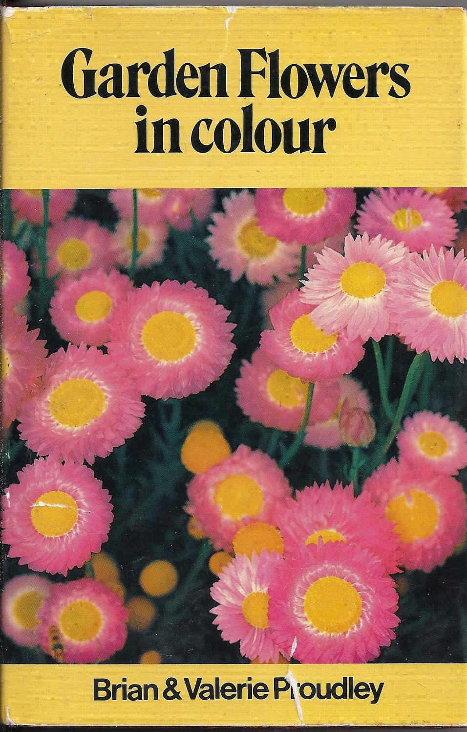 Amazon | Garden Flowers (Colour S.) | Proudley, Brian, Proudley, Valerie | Flowers
