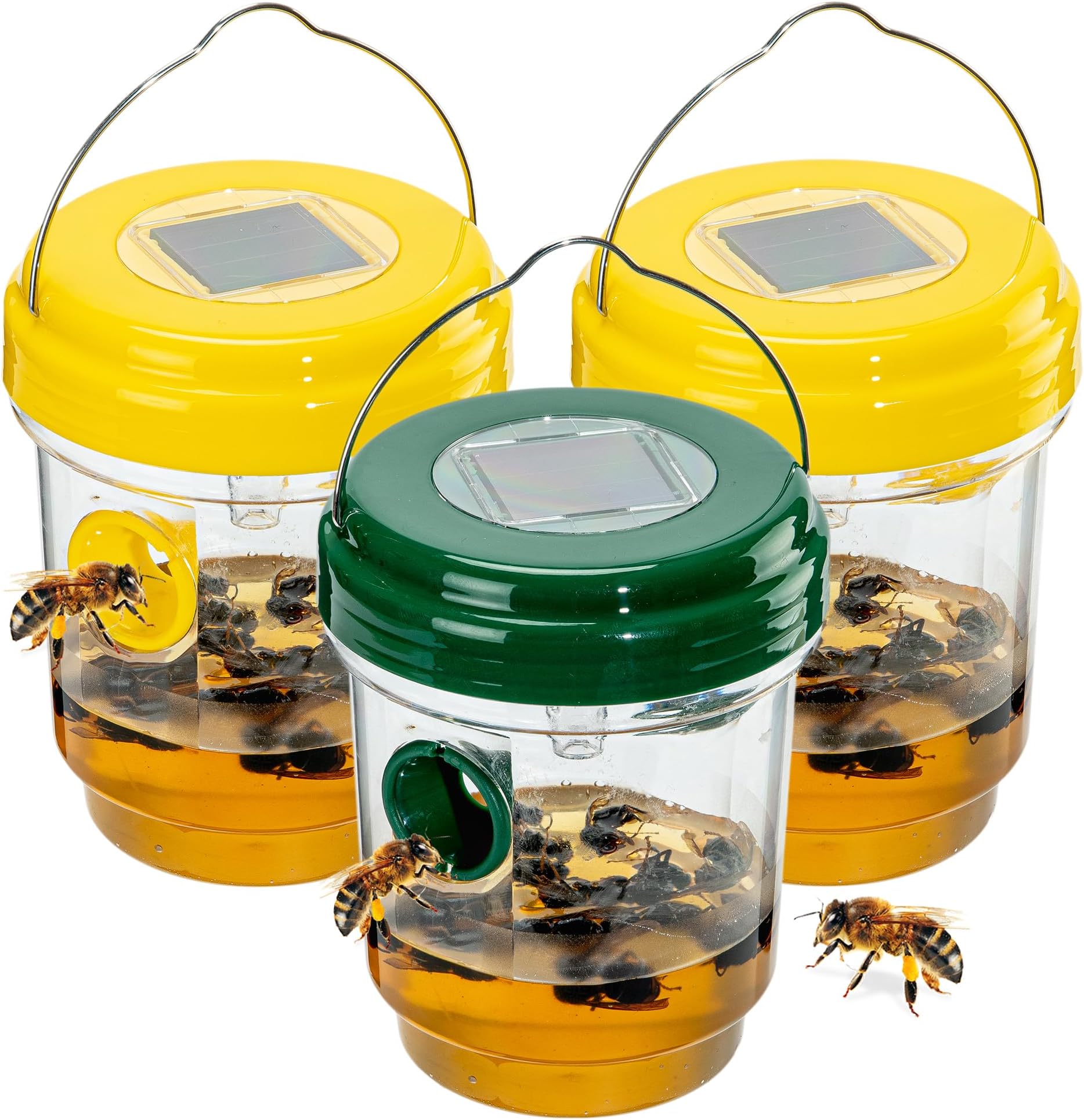 Amazon.com : RESCUE! Disposable Summer Yellowjacket Trap - Mountain ...