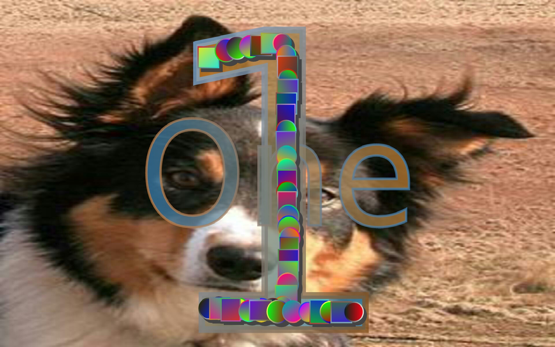 Count Dogs - App on Amazon Appstore